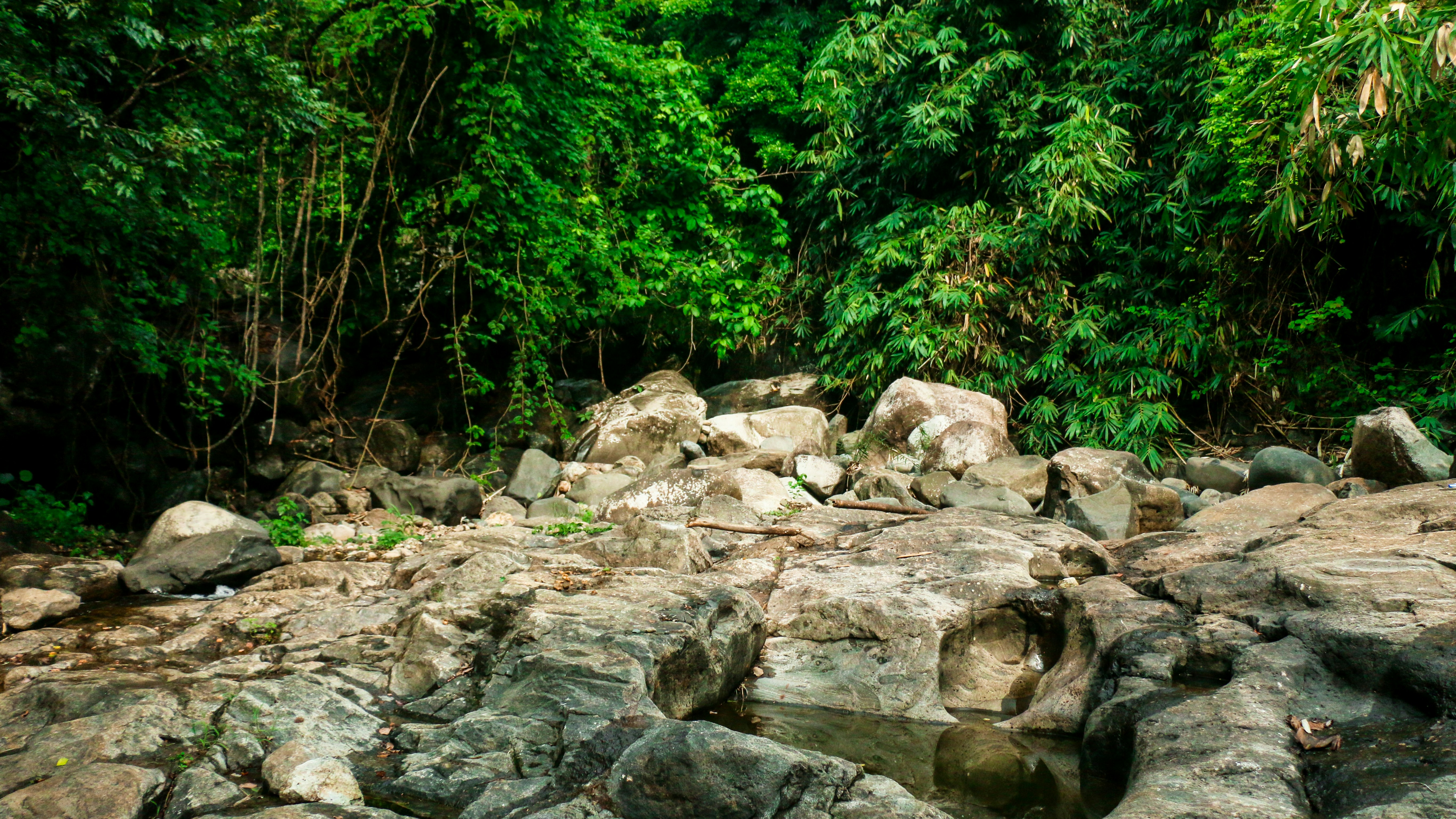 Godwin Angeline Benjo (@gabography) | Unsplash Photo Community