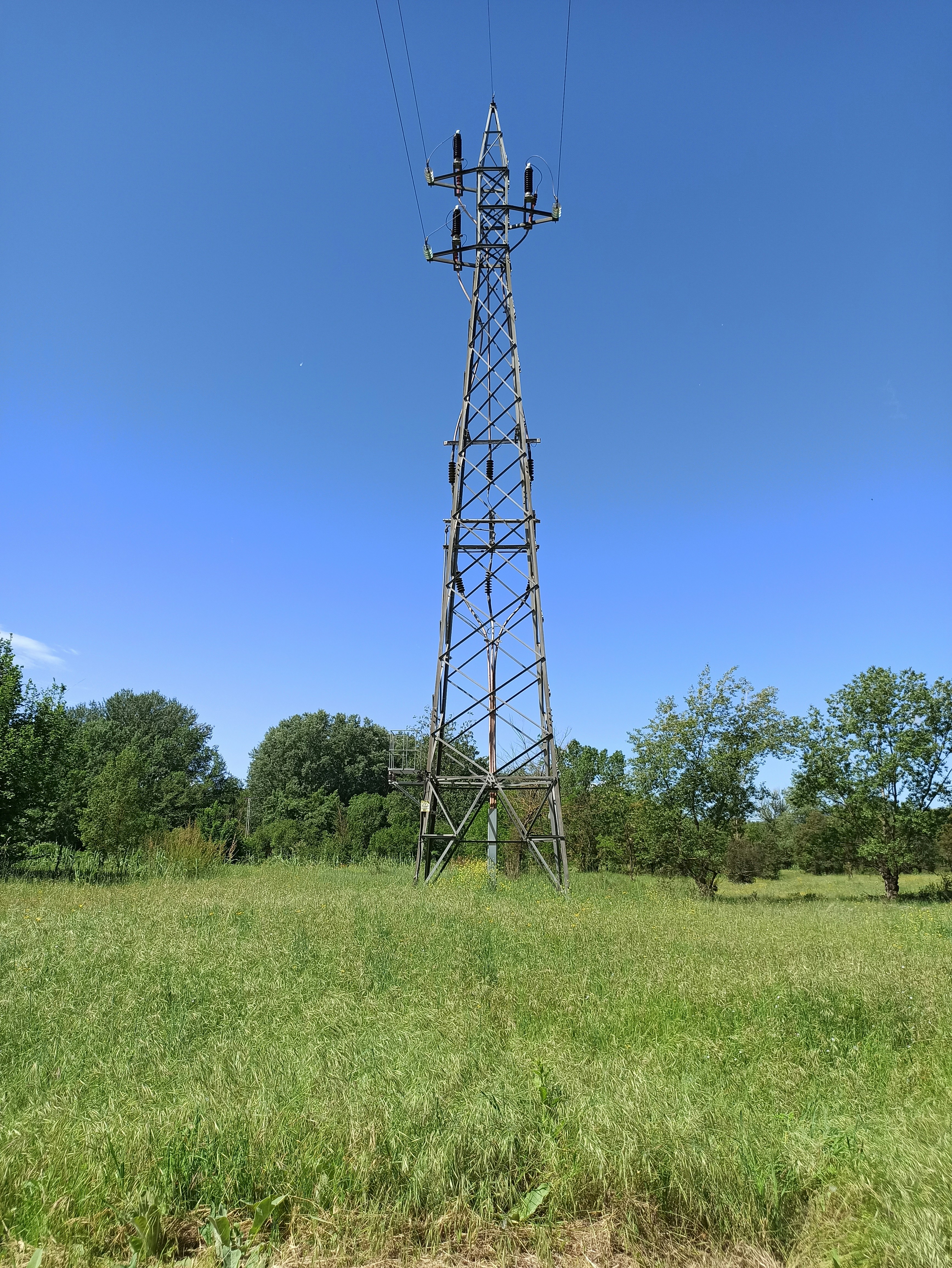 A tall communication tower rises above a lush green field under a clear blue sky.