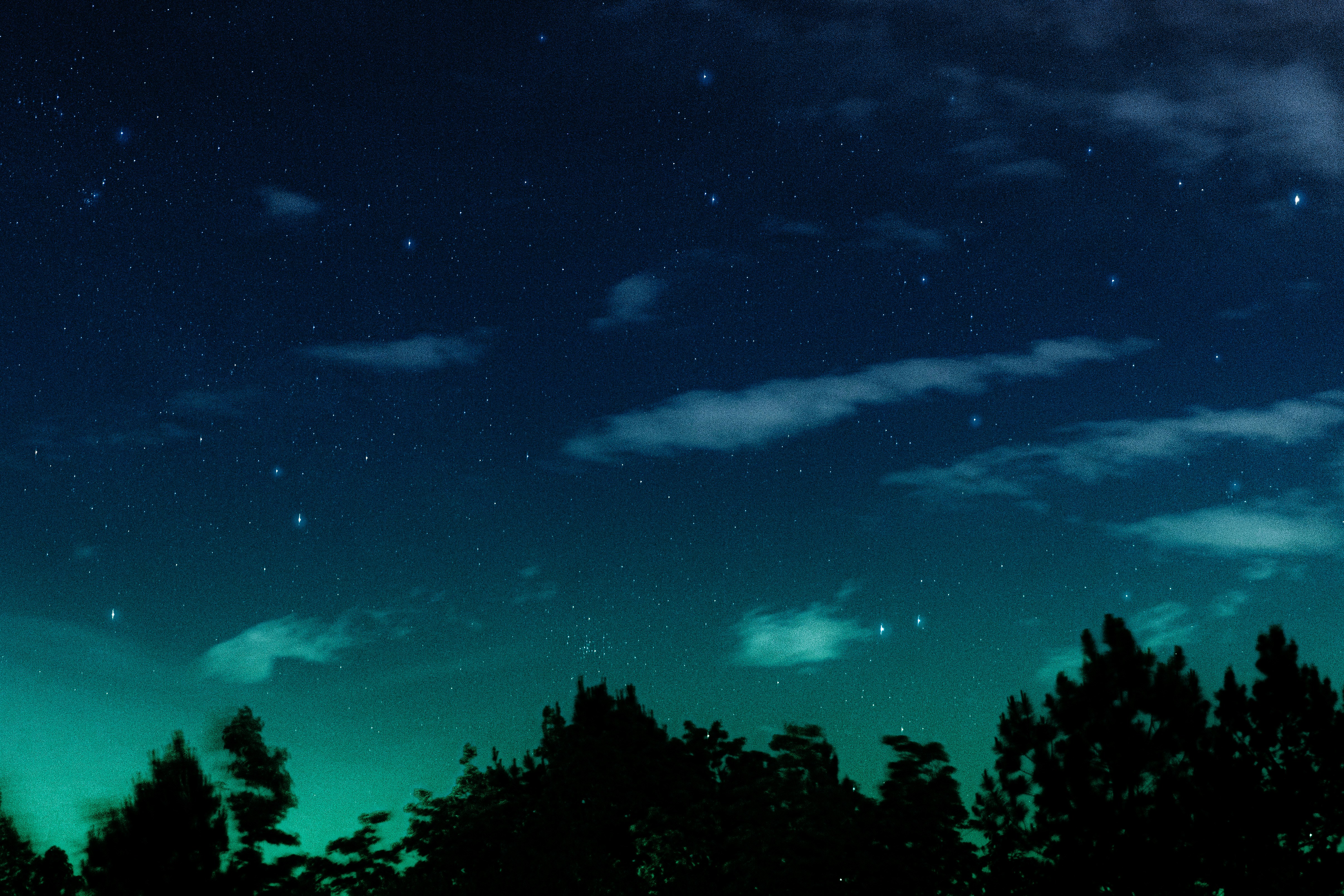 Starry night sky with faint aurora above a forest silhouette.