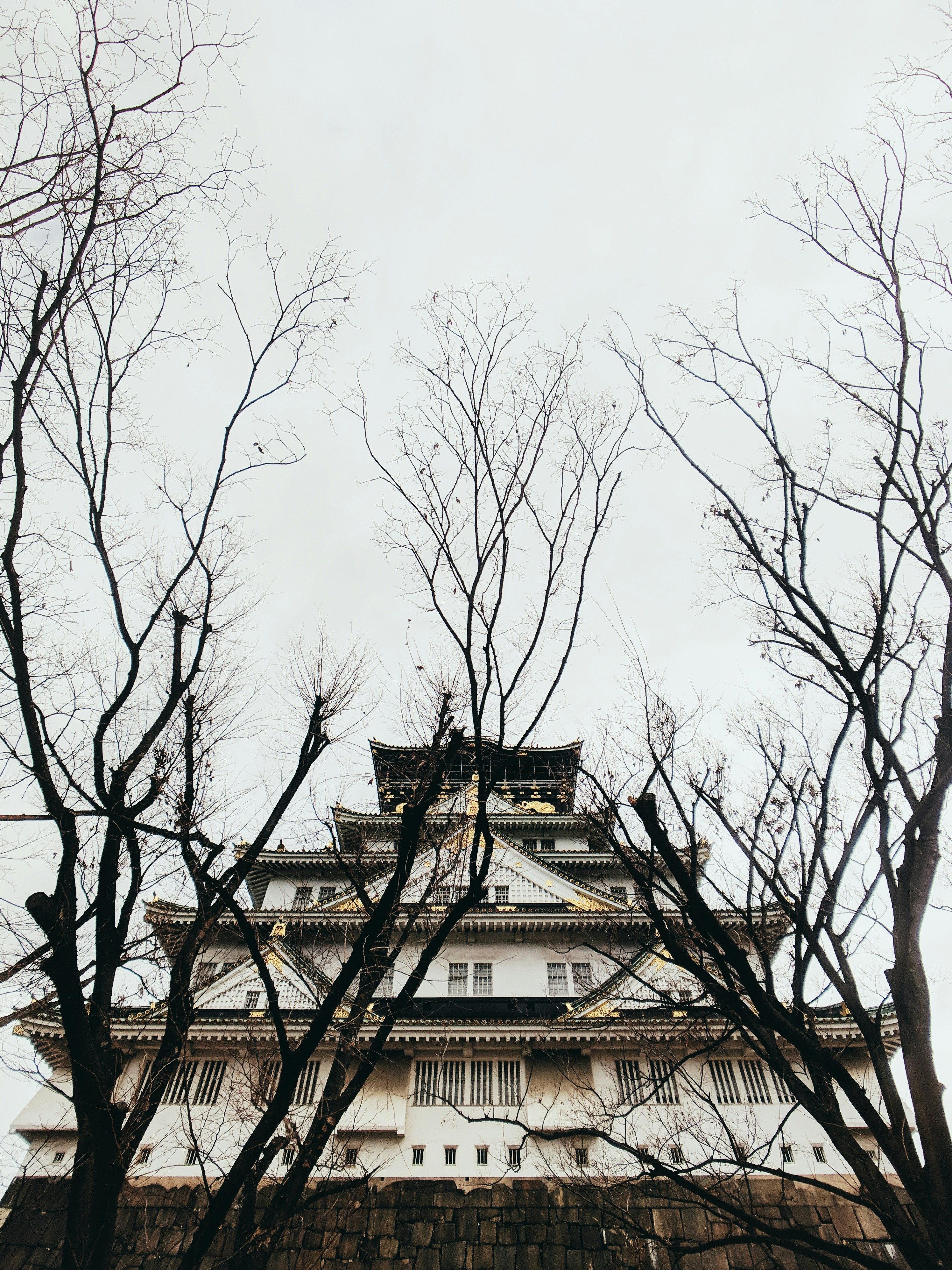 Historic castle framed by bare tree branches against a gray sky. The architectural details of the structure stand out amidst the natural elements.
