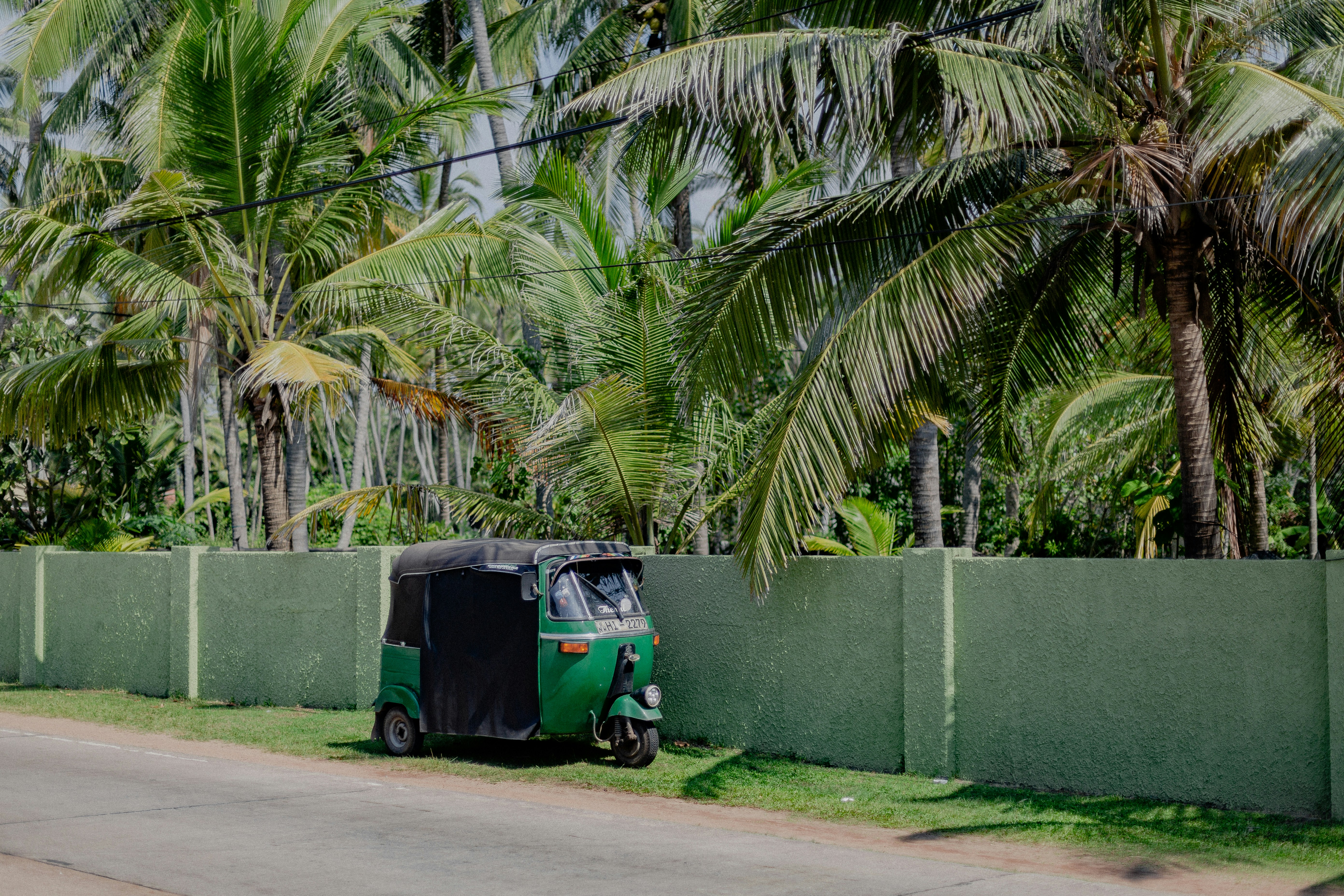 Green Tuk Tuk in front of green wall and palms in Sri Lanka
