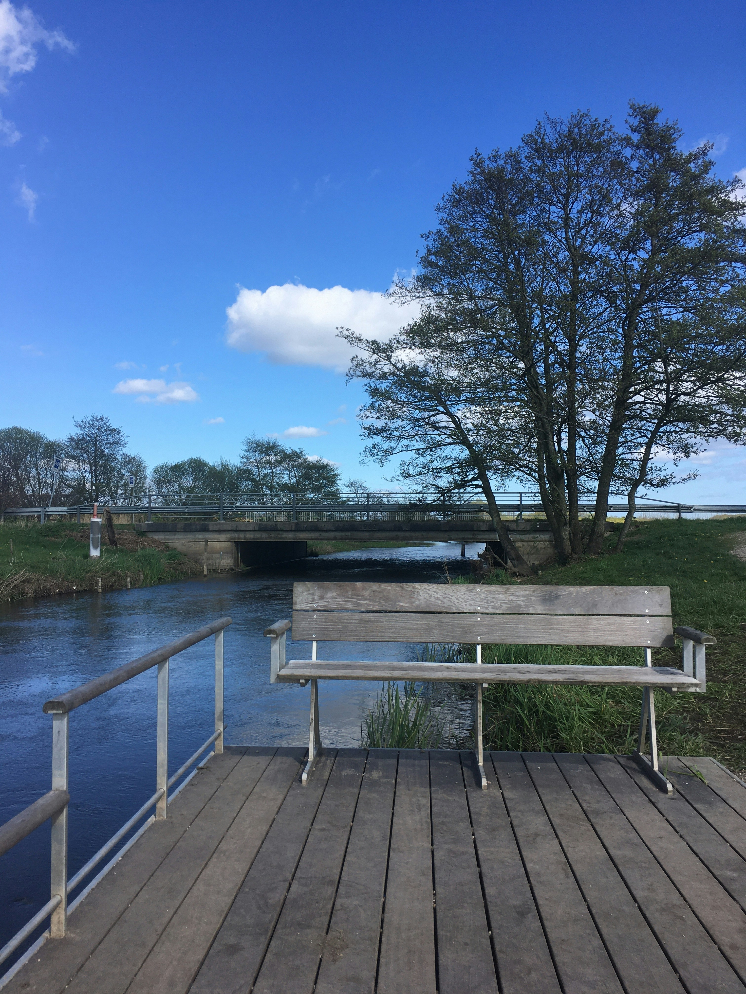 Riverside resting place | brown wooden bench near body of water during daytime