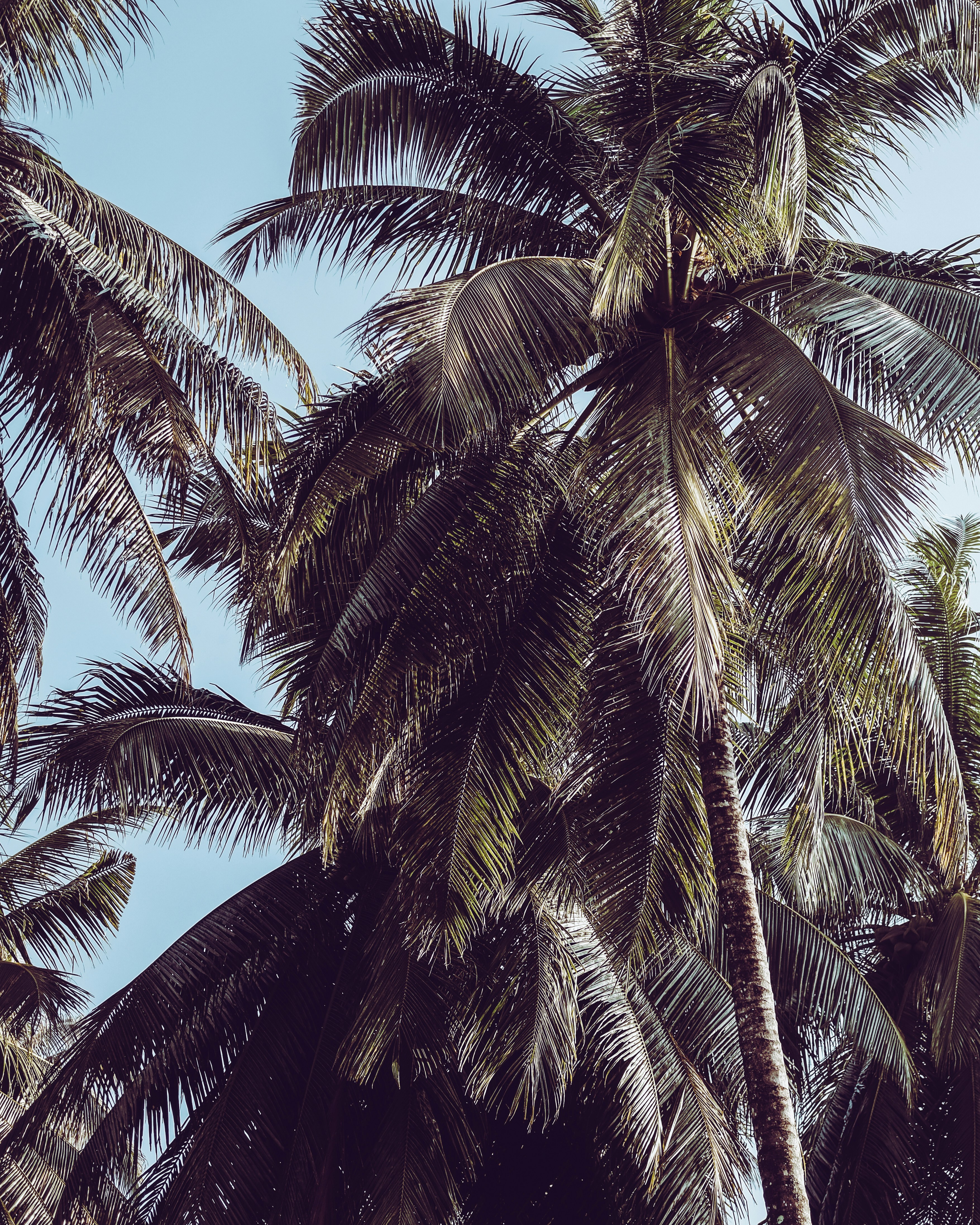 Robert Musca (@roberted) | Comunidad de fotos de Unsplash