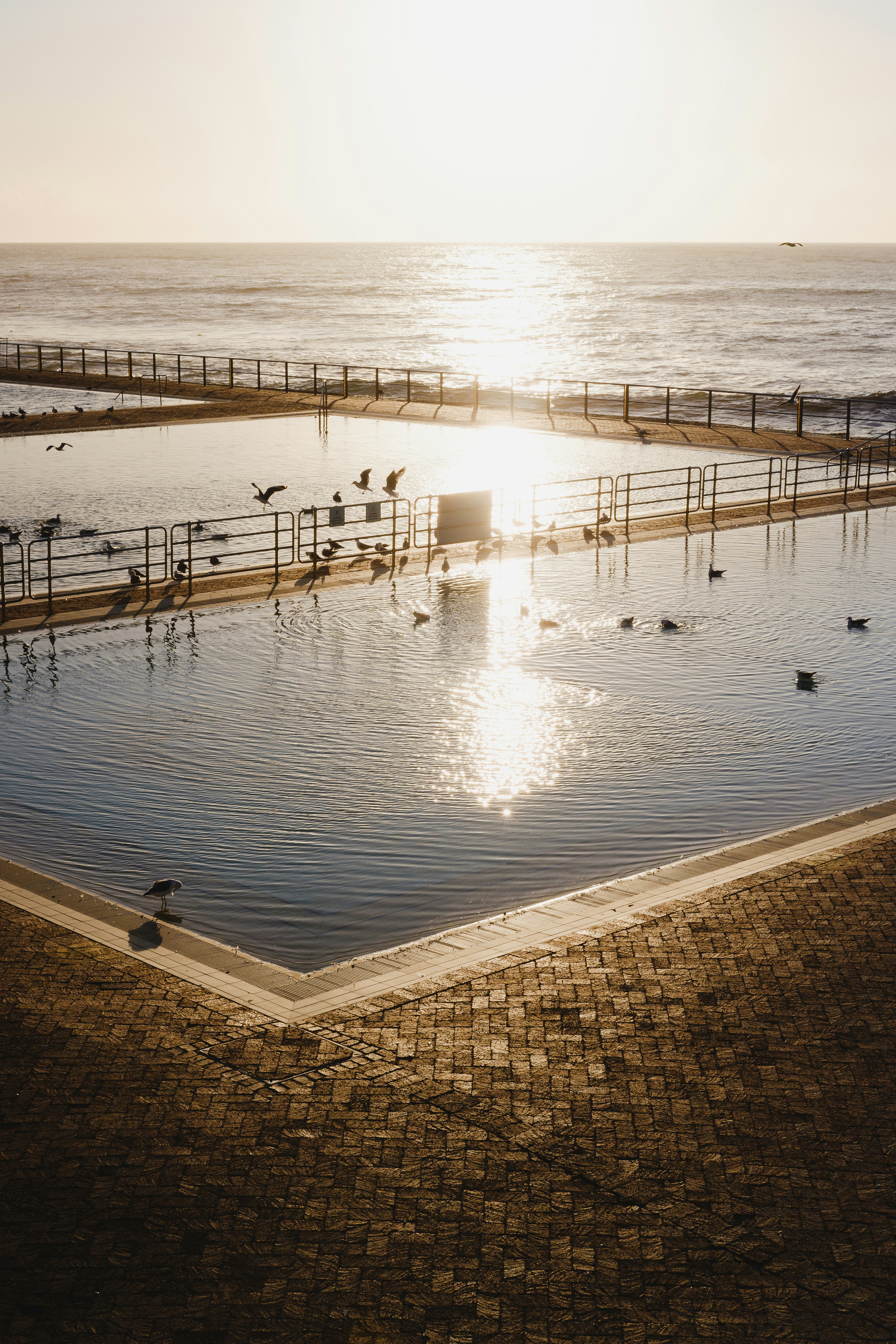Tim Johnson (@timalanjohnson) | Communauté photos Unsplash