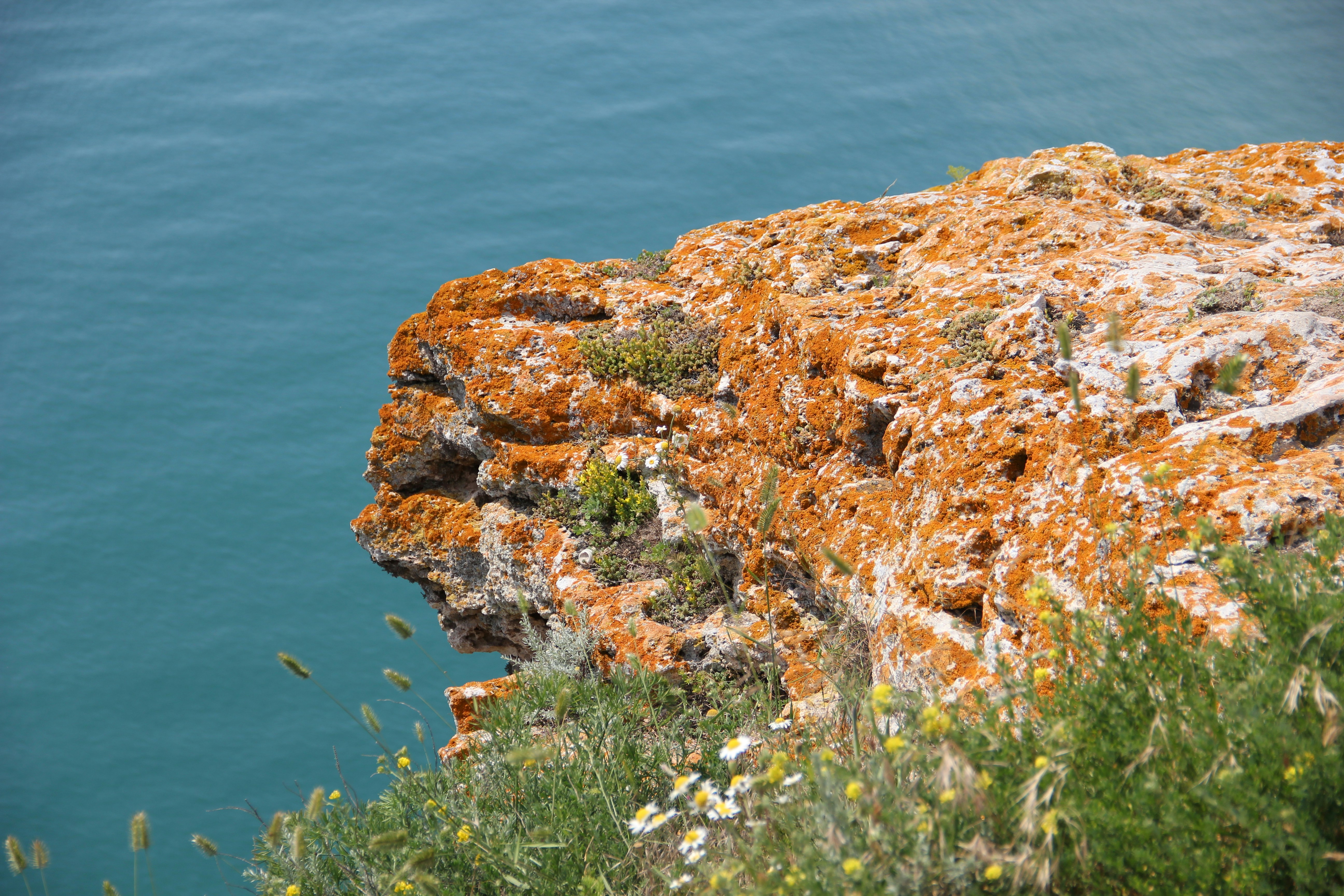 Vivid orange lichen covers a rugged cliffside, contrasting with the tranquil blue waters below. Wildflowers peek through the greenery at the cliff's base.