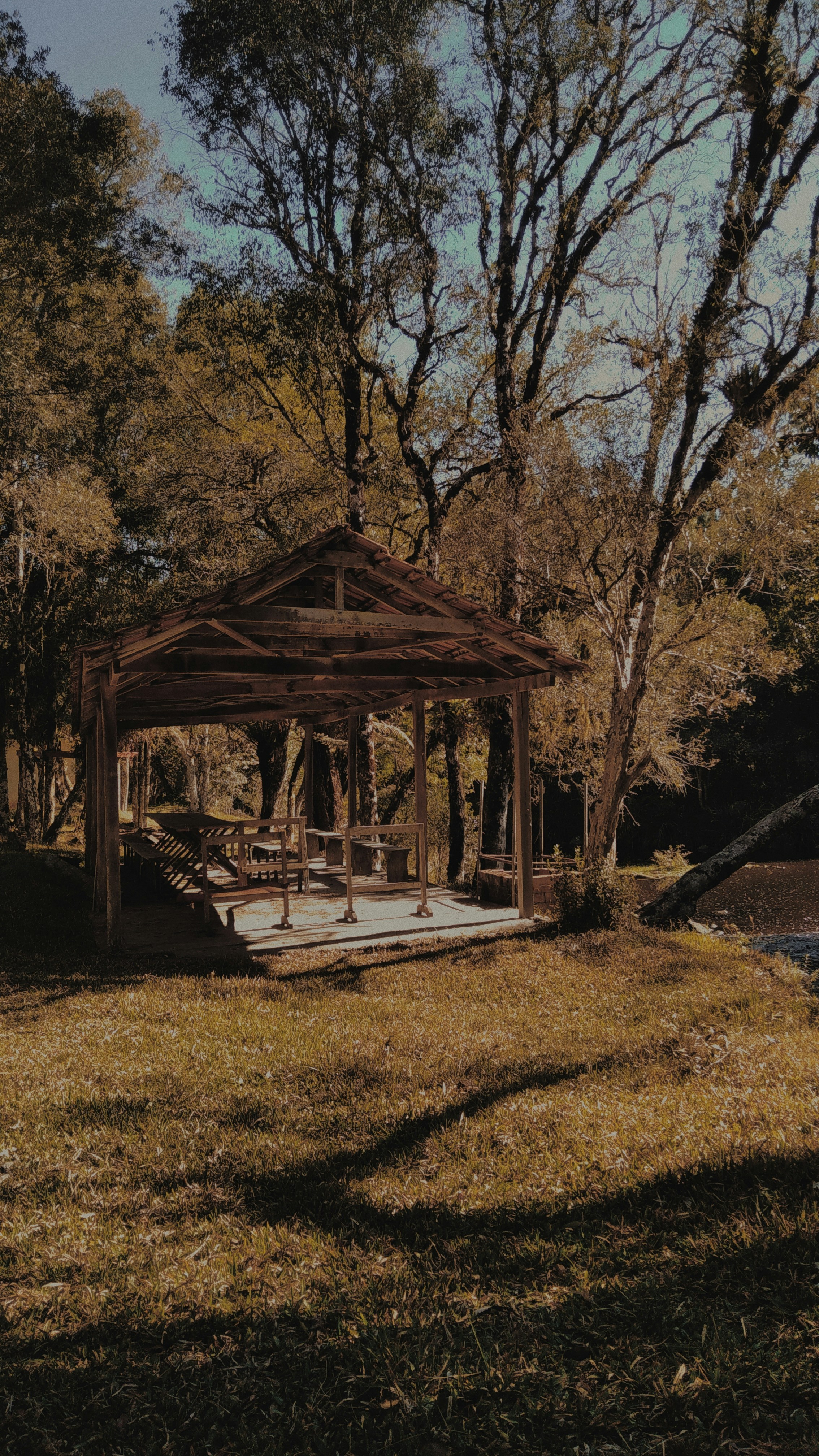 A wooden gazebo nestled among golden foliage, inviting moments of reflection and tranquility. The scene captures the essence of a serene outdoor escape.