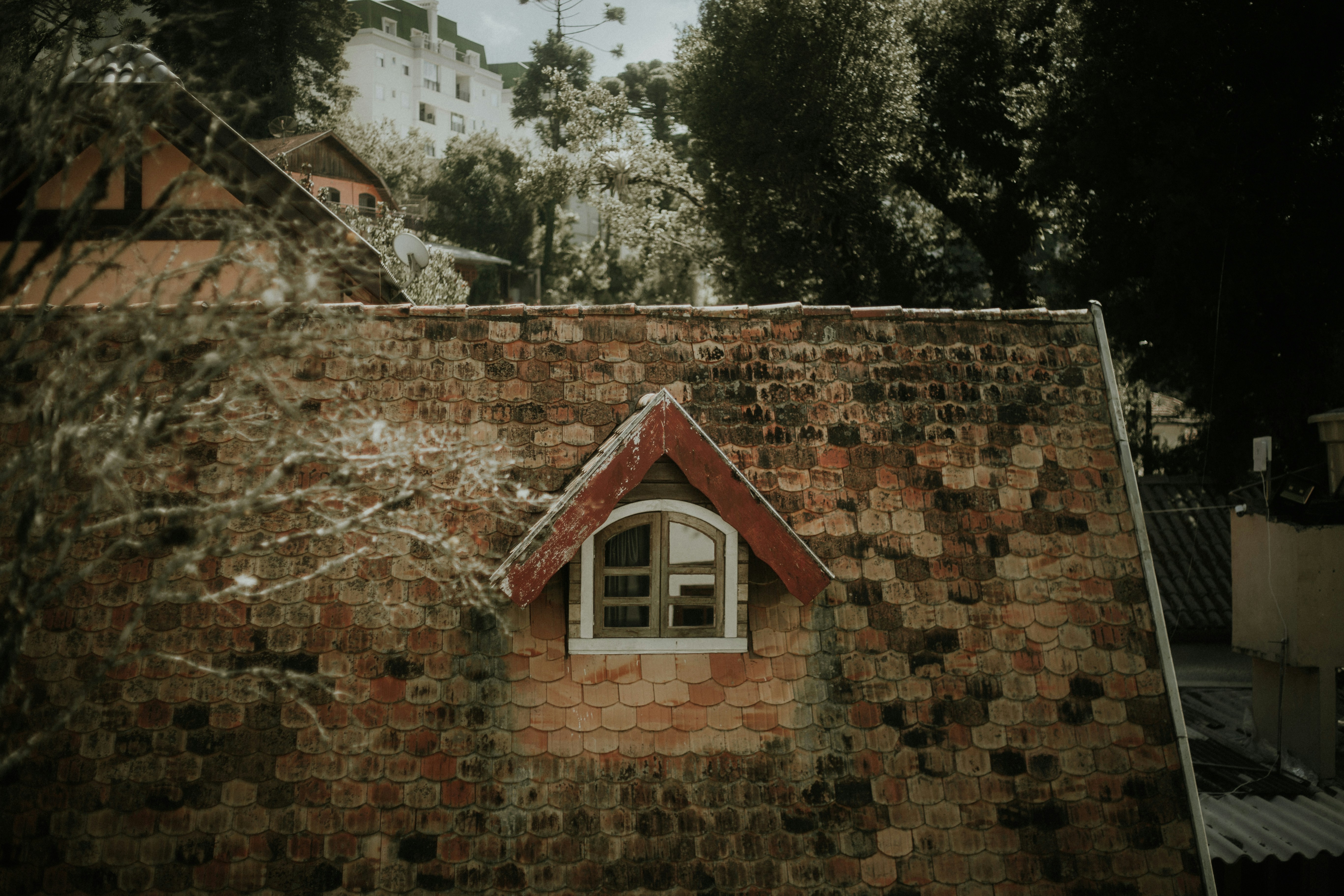 Brick Dormer Center: a Weathered Roof Meets Overhanging Branches