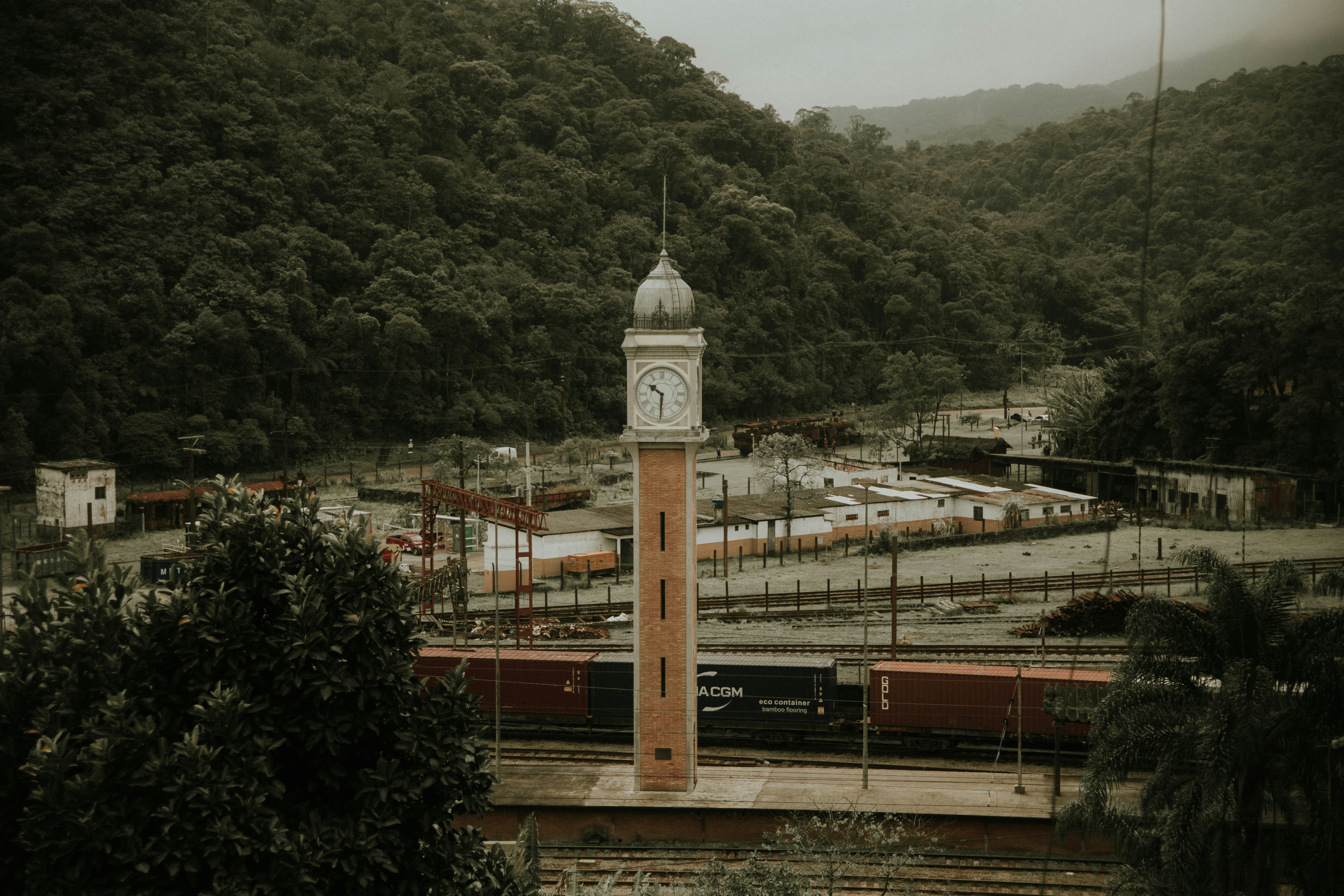brown and white train on rail tracks near green trees during daytime