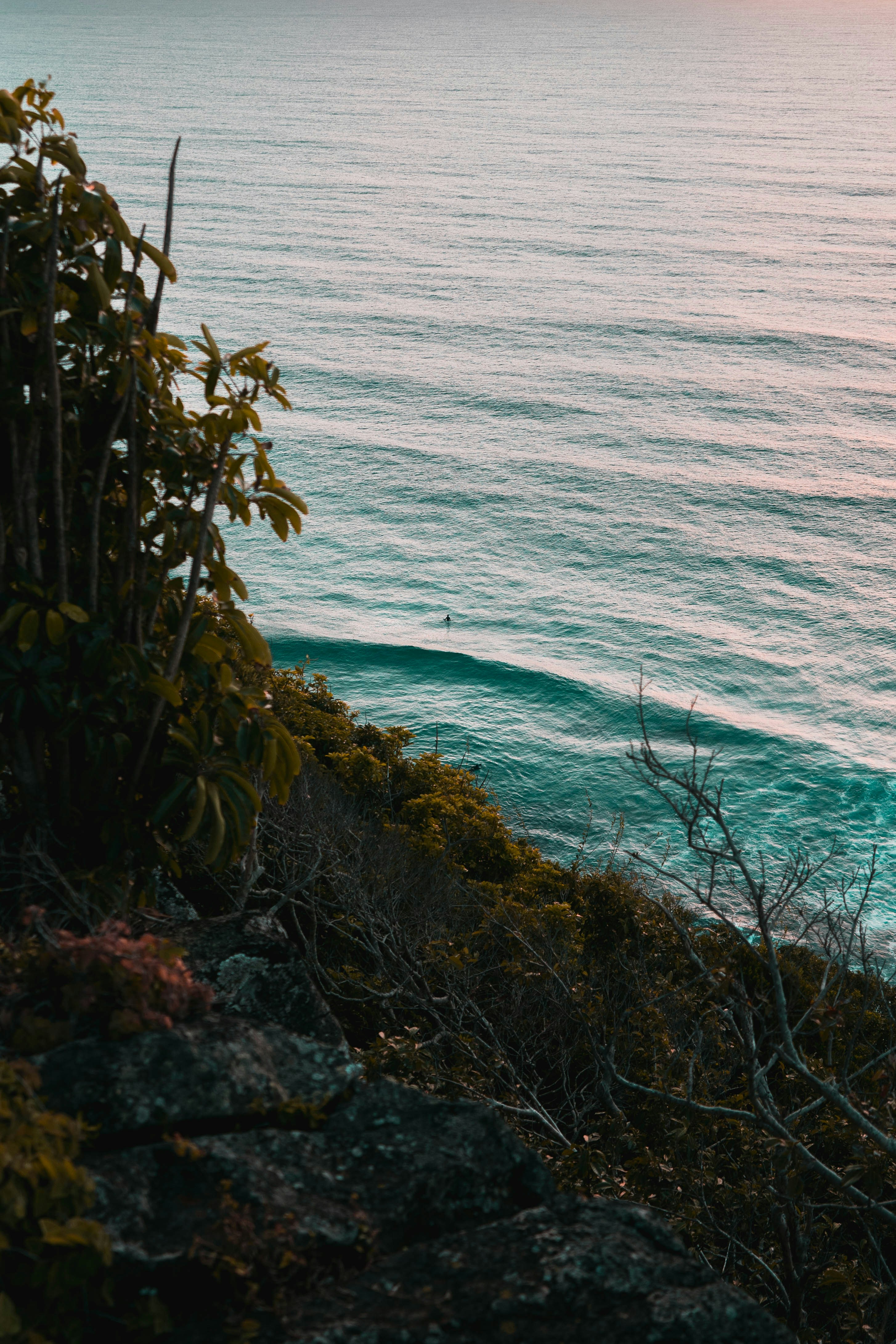 Lush greenery framing tranquil ocean waves under a pastel sky at dusk.