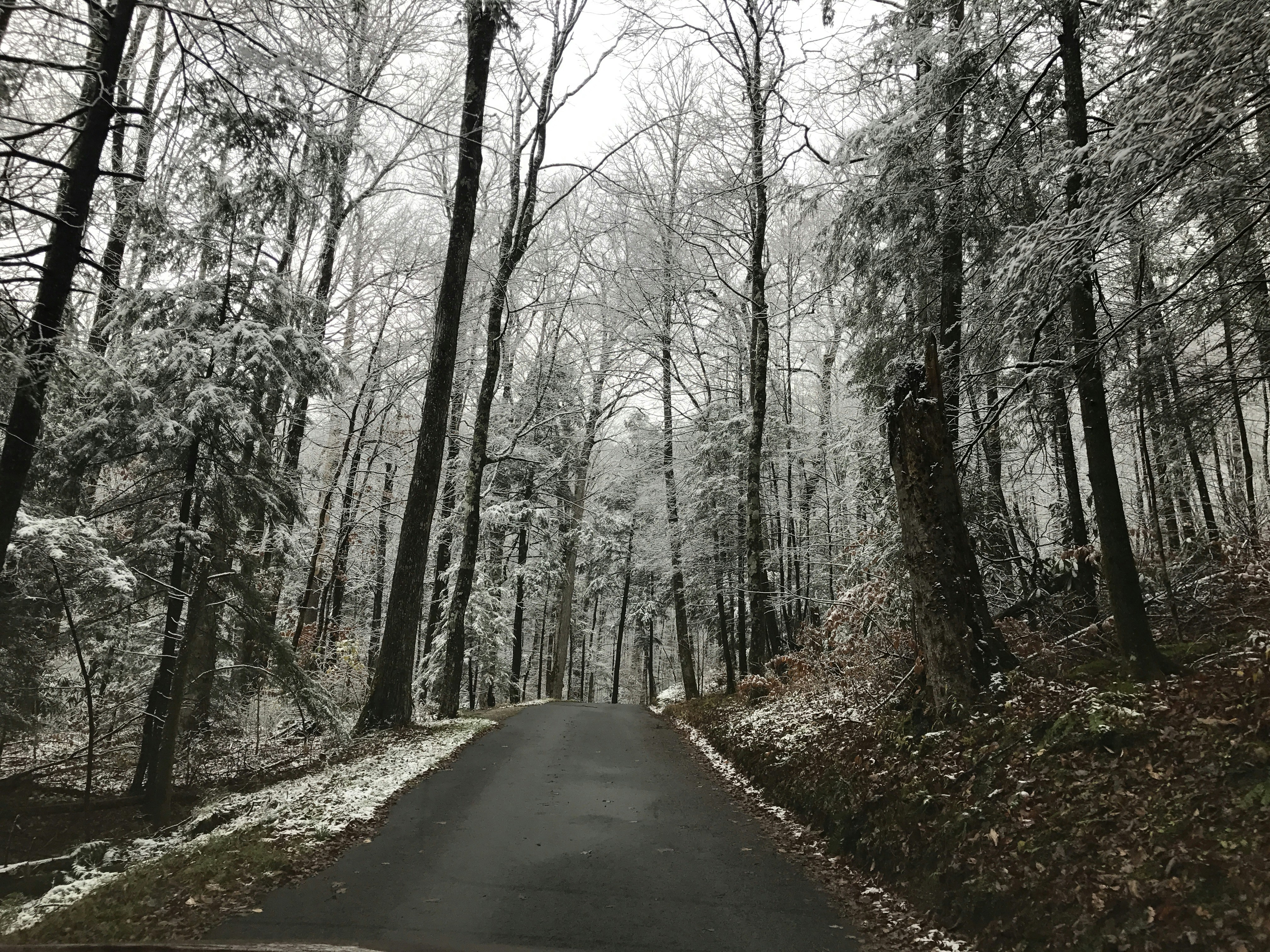 Photo by rachel miller with Apple iPhone 7