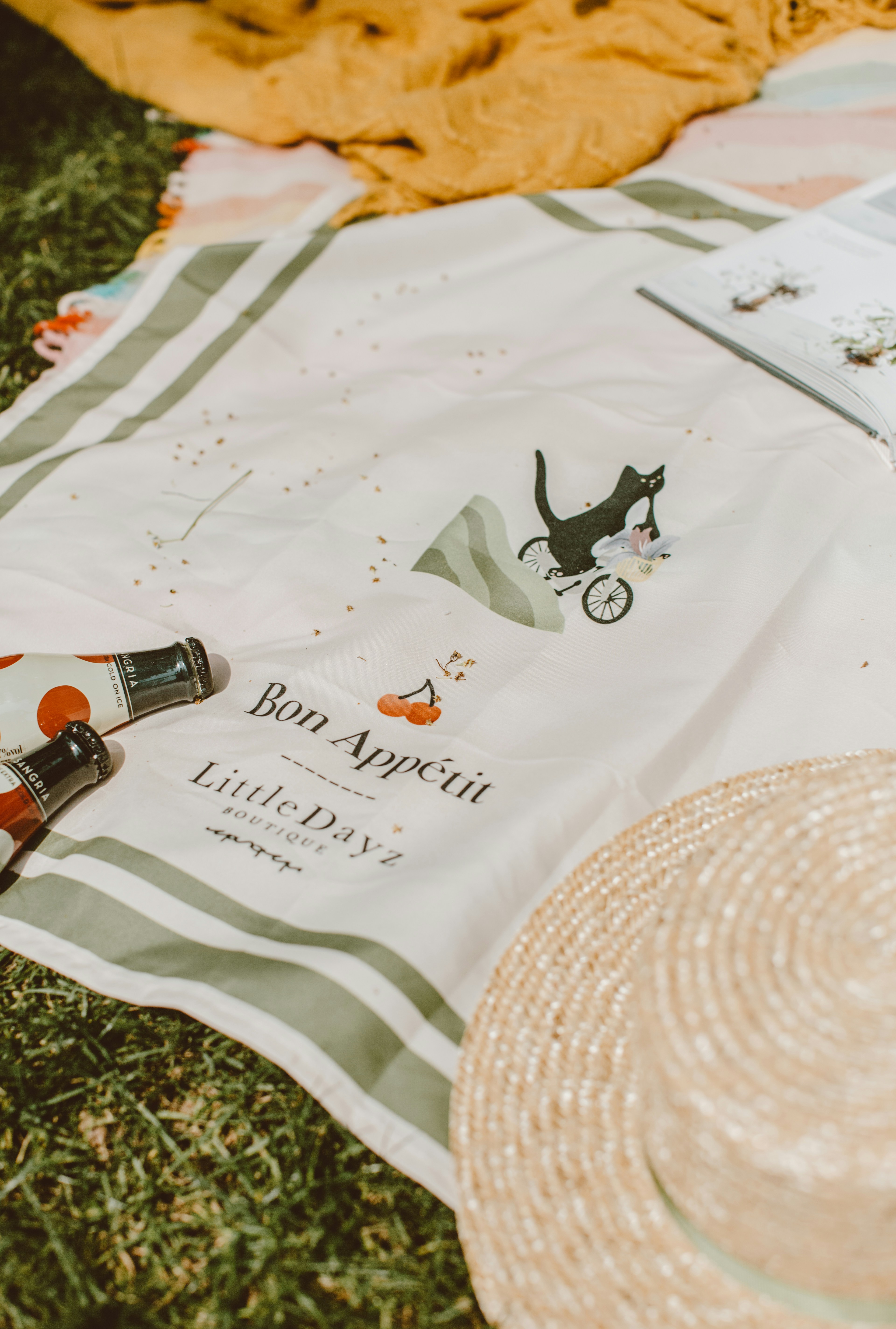 Unicycling Cat on a Picnic Blanket: Sunlit Afternoon with Bon Appétit