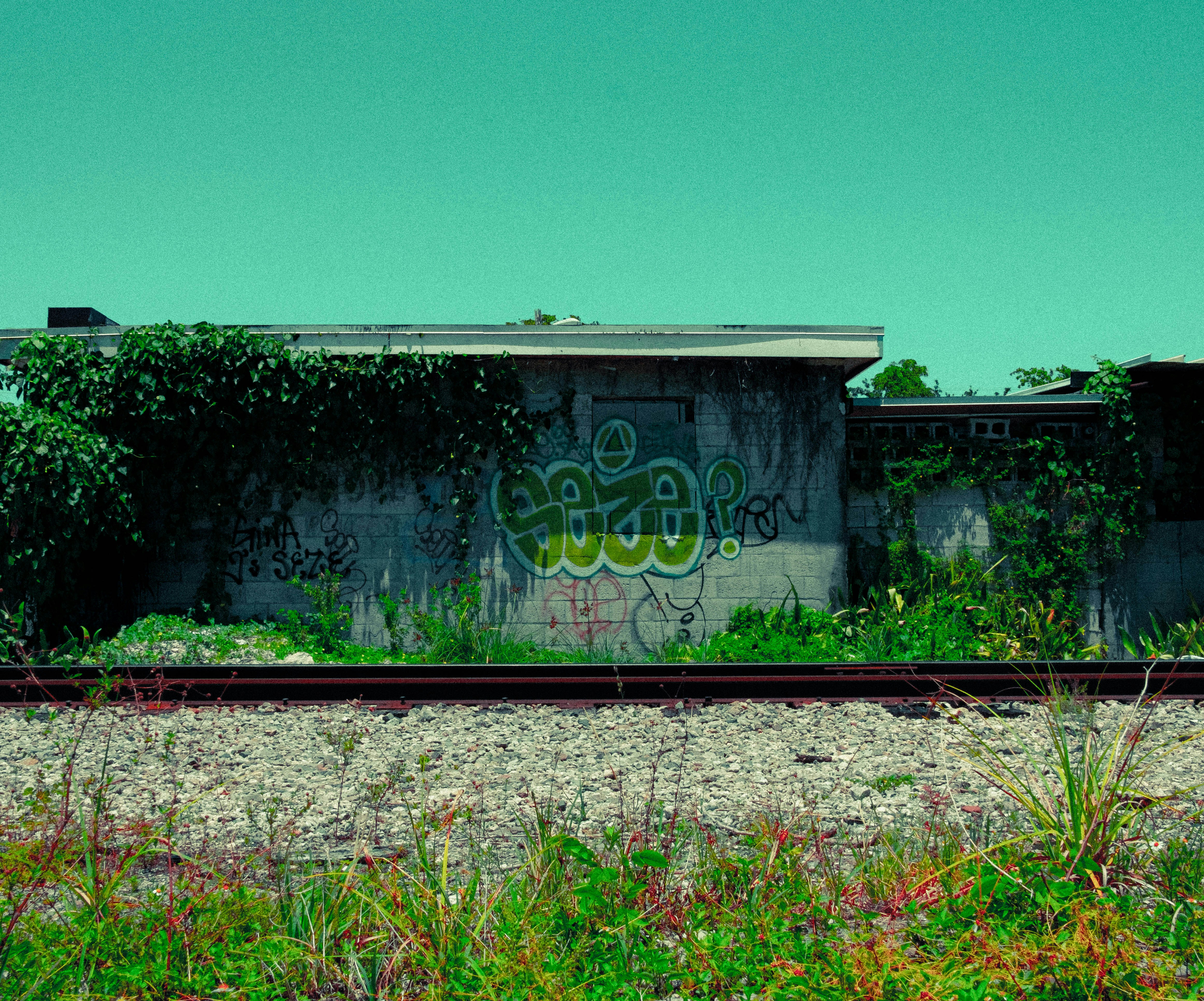 Verdant Decay: Graffiti-Lined Wall Beside an Abandoned Railbed