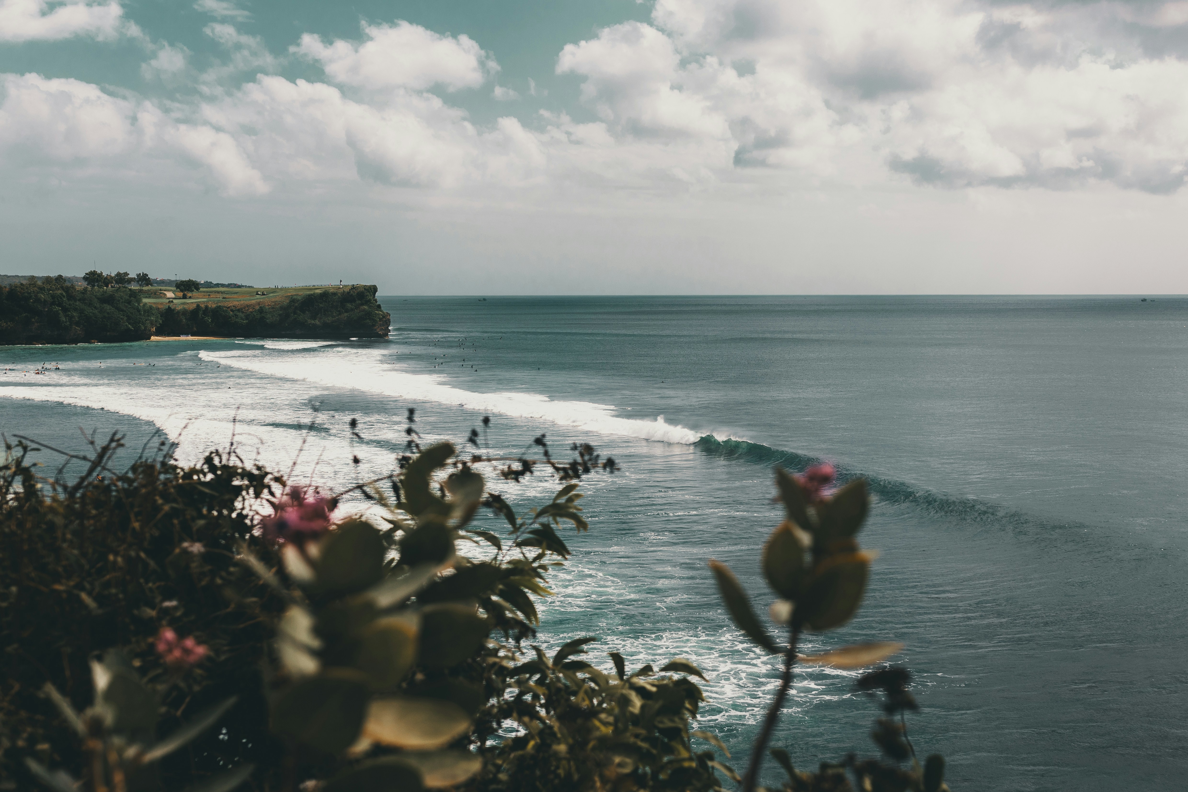 Cliffside Quiet: Breakers Framed by Foliage