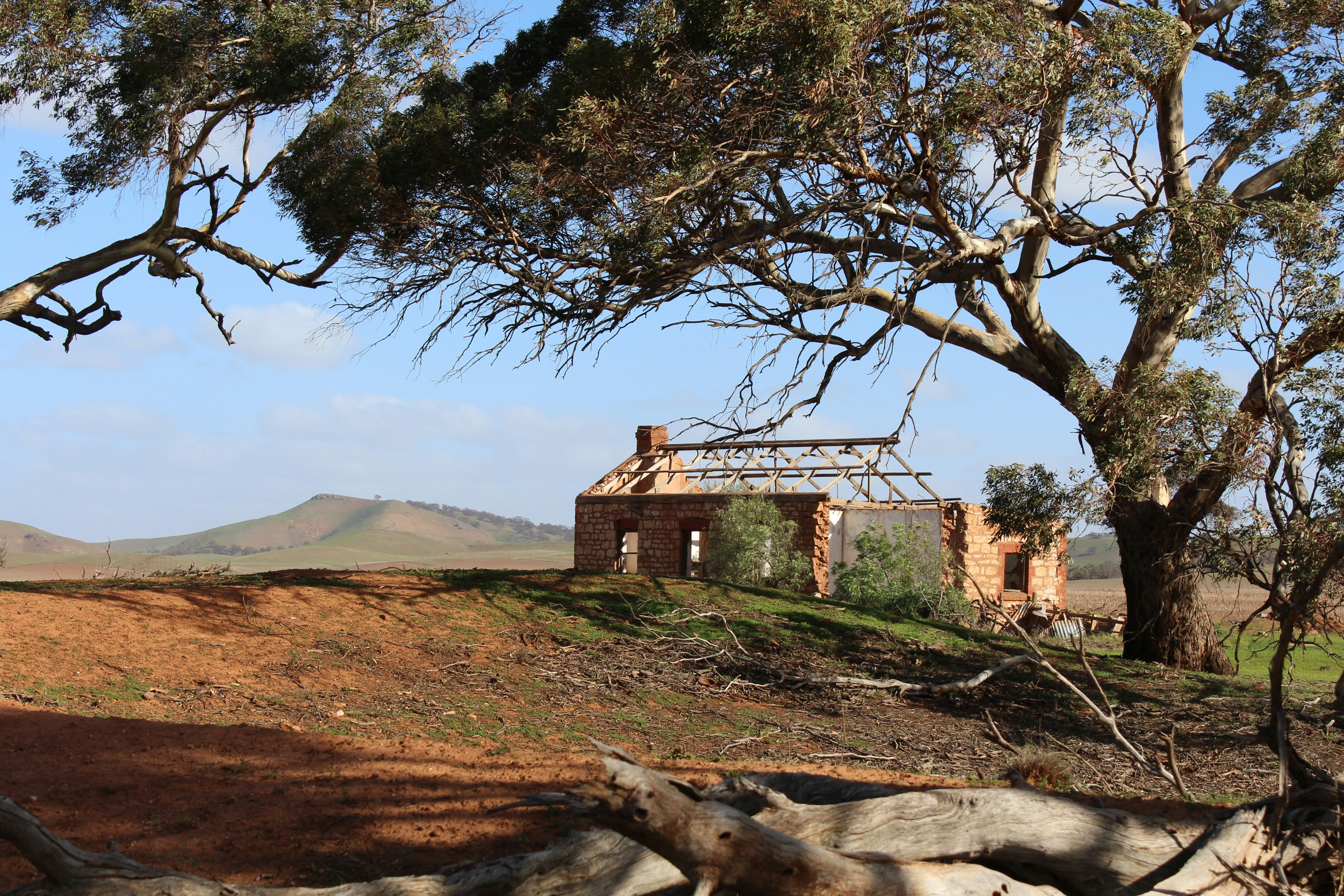 Rural Australia Pictures | Download Free Images on Unsplash