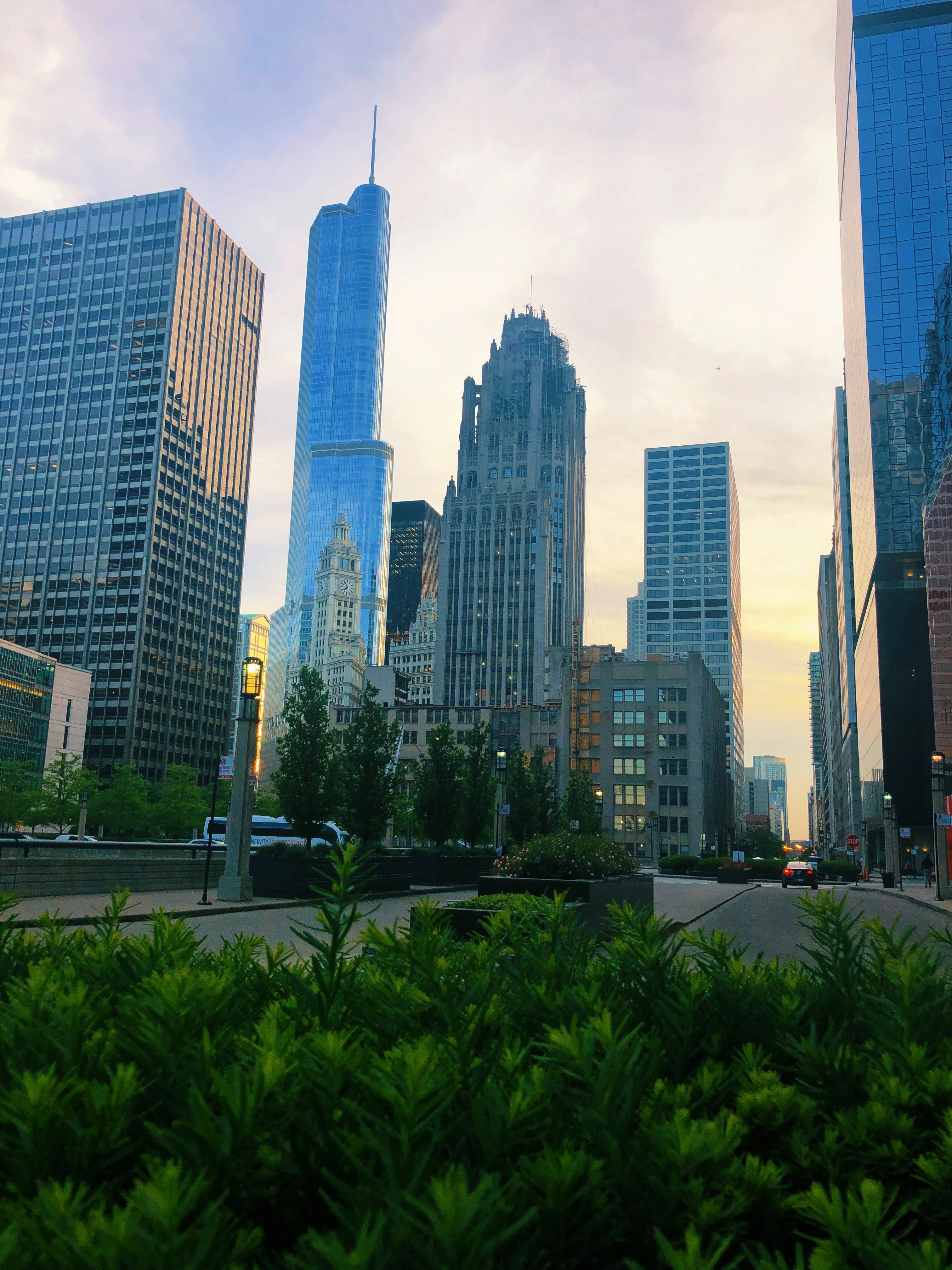 Nikitha Suresh (@nikx391) | Comunidade de fotos da Unsplash