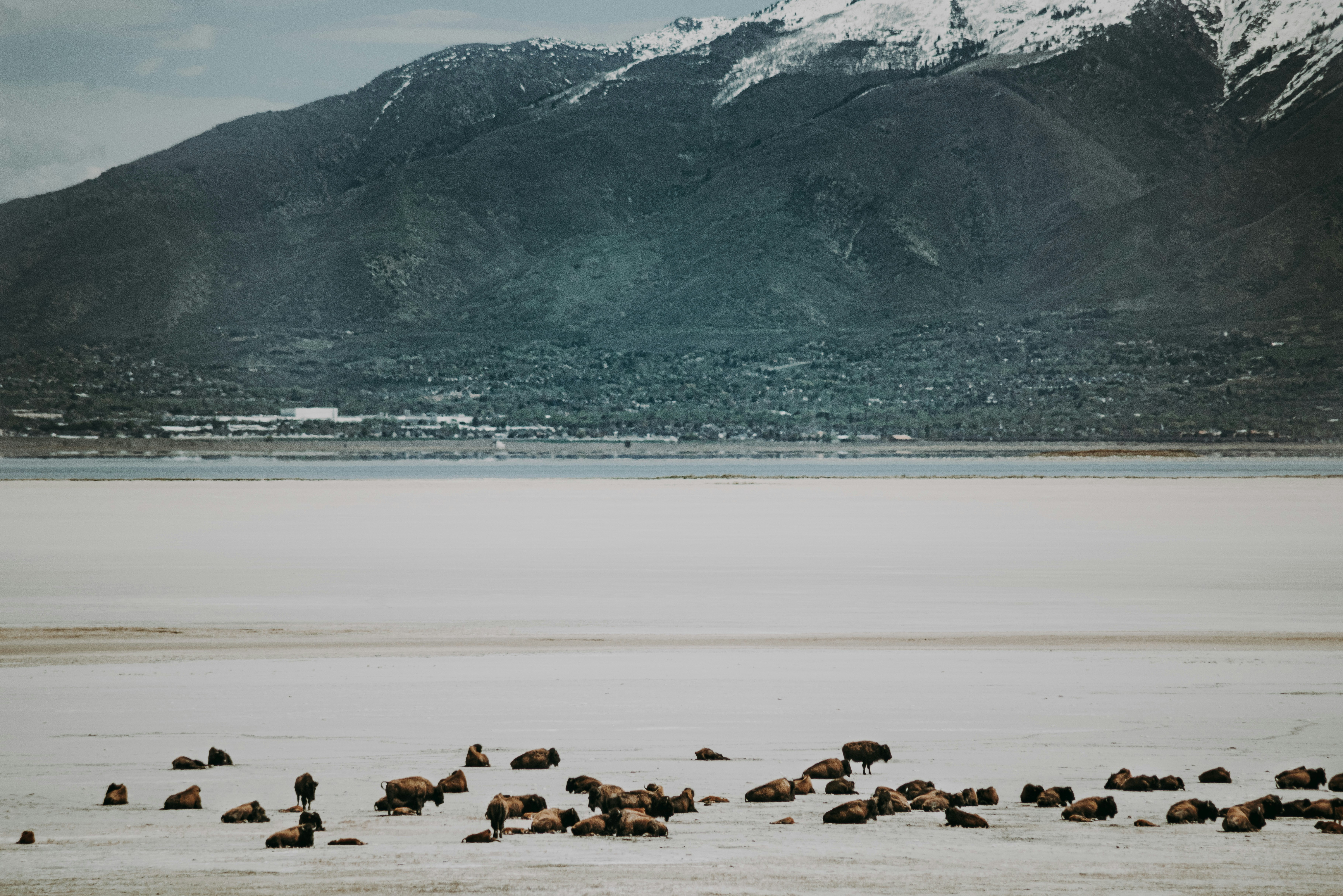 Photo by Sandra Seitamaa with Nikon D810