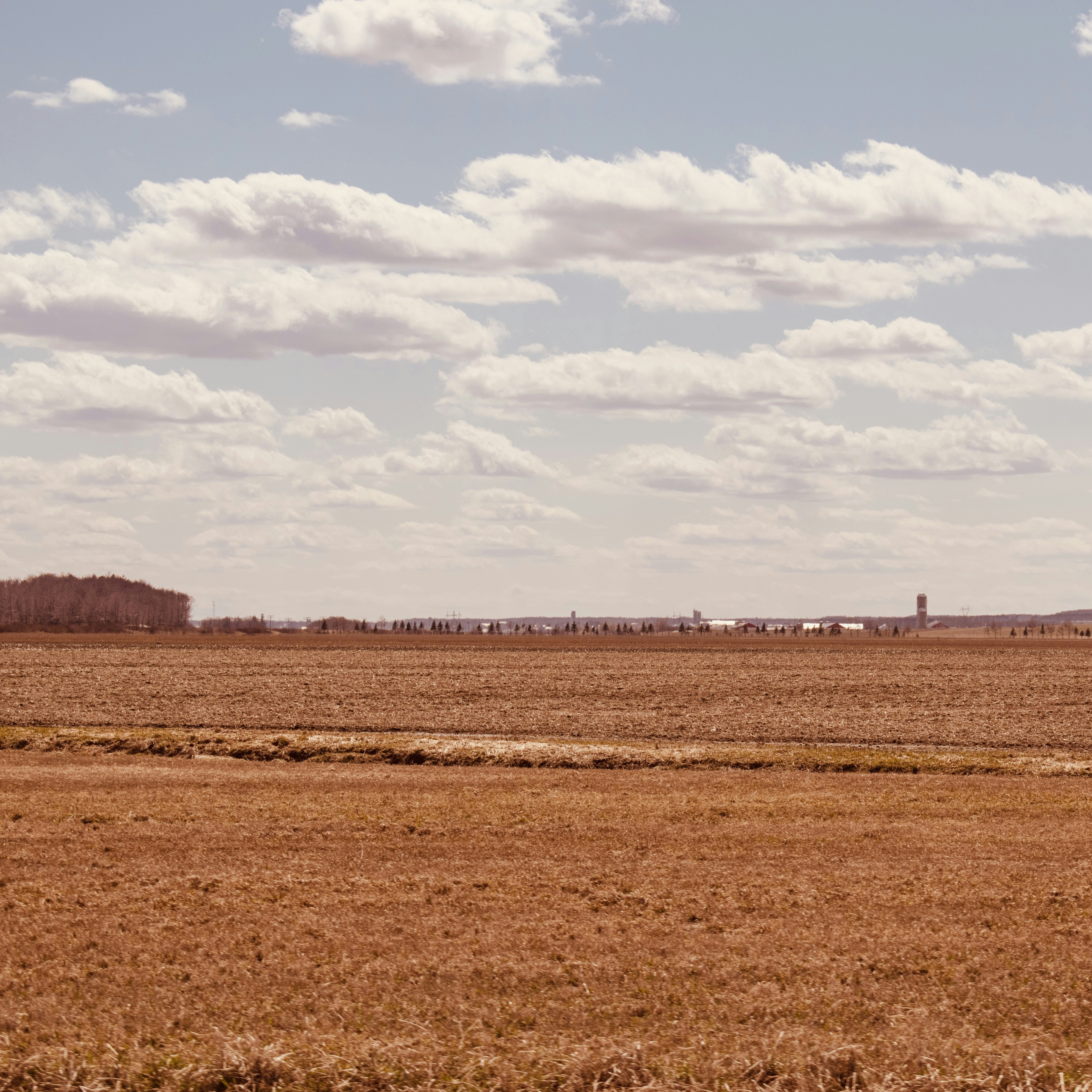 Line Across the Flat: Distant Figures Dot the Horizon of a Sunlit Plain