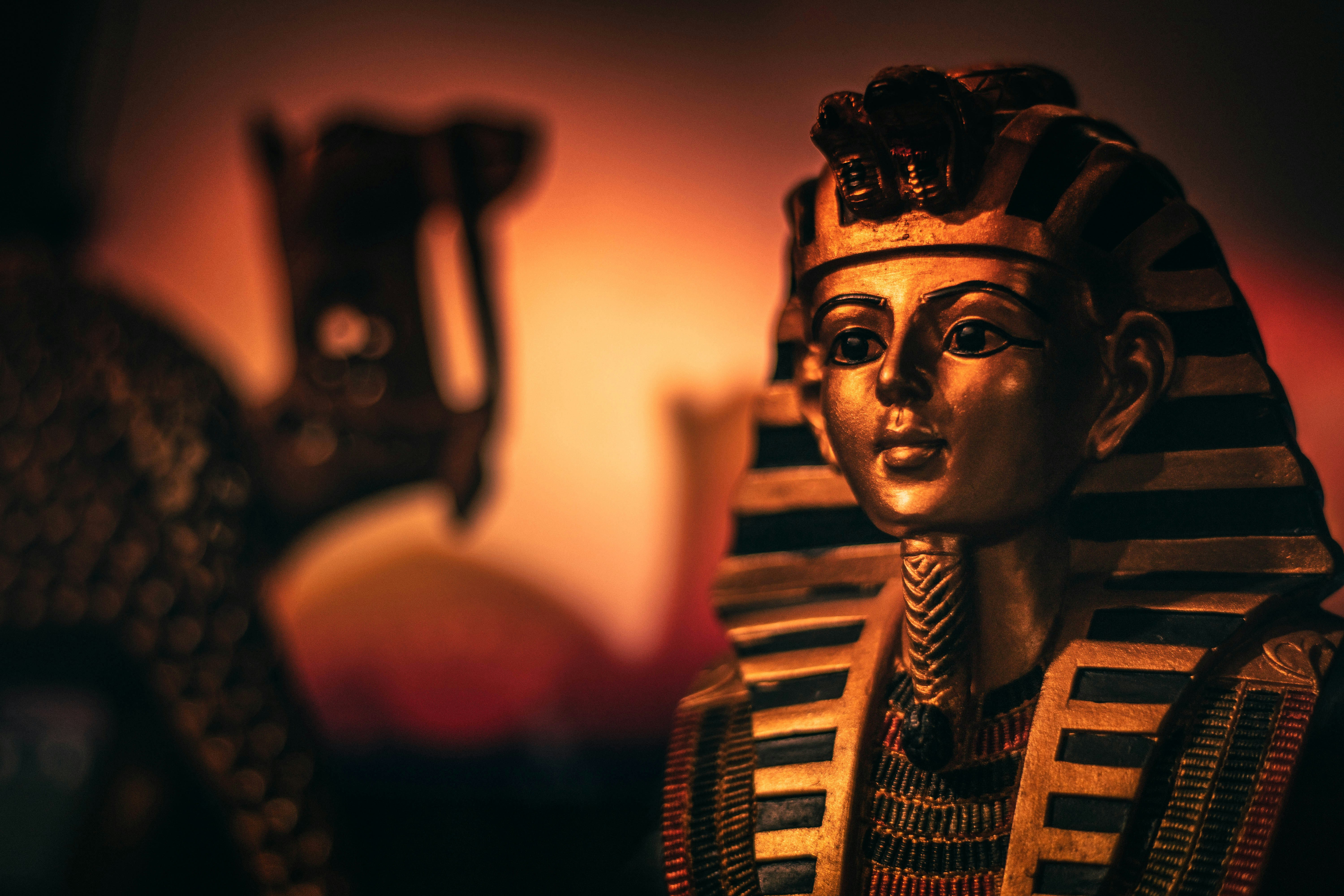 Amber Gild: The Quiet Gaze of the Golden Pharaoh
