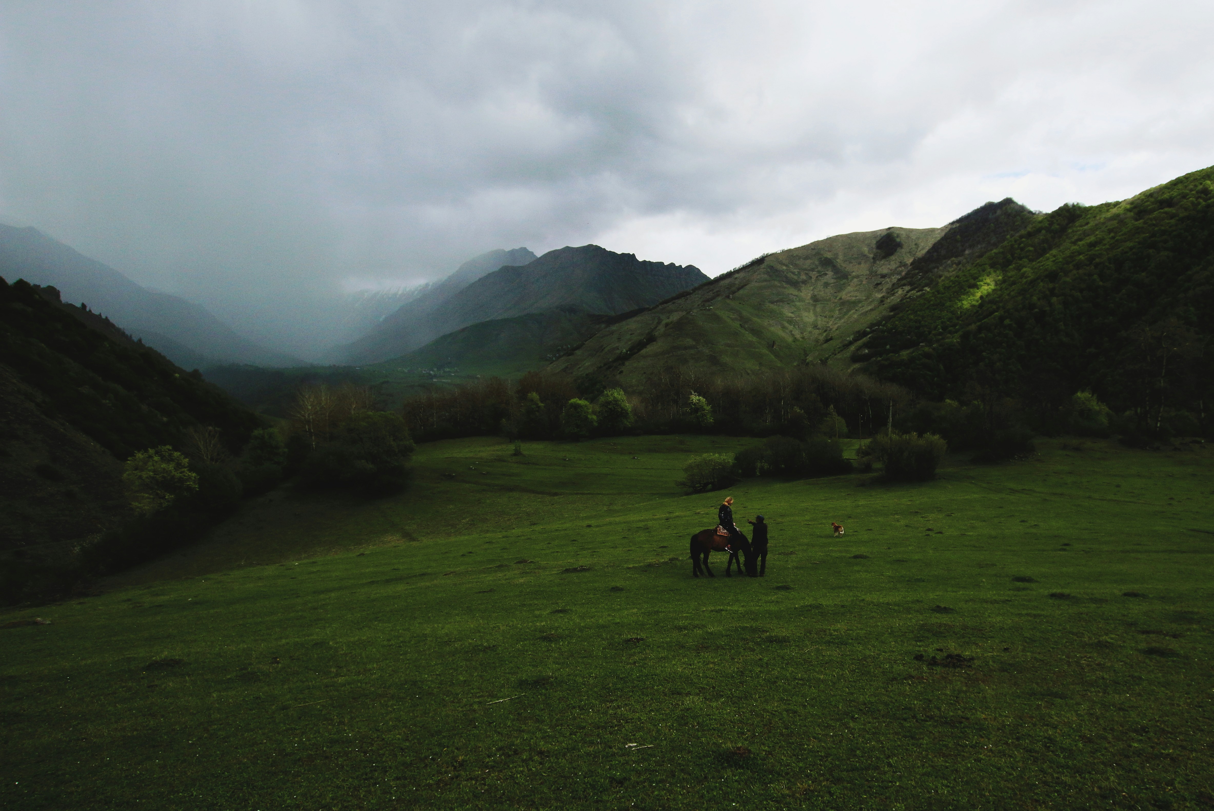 Harmony in the Highlands: A Moment of Connection
