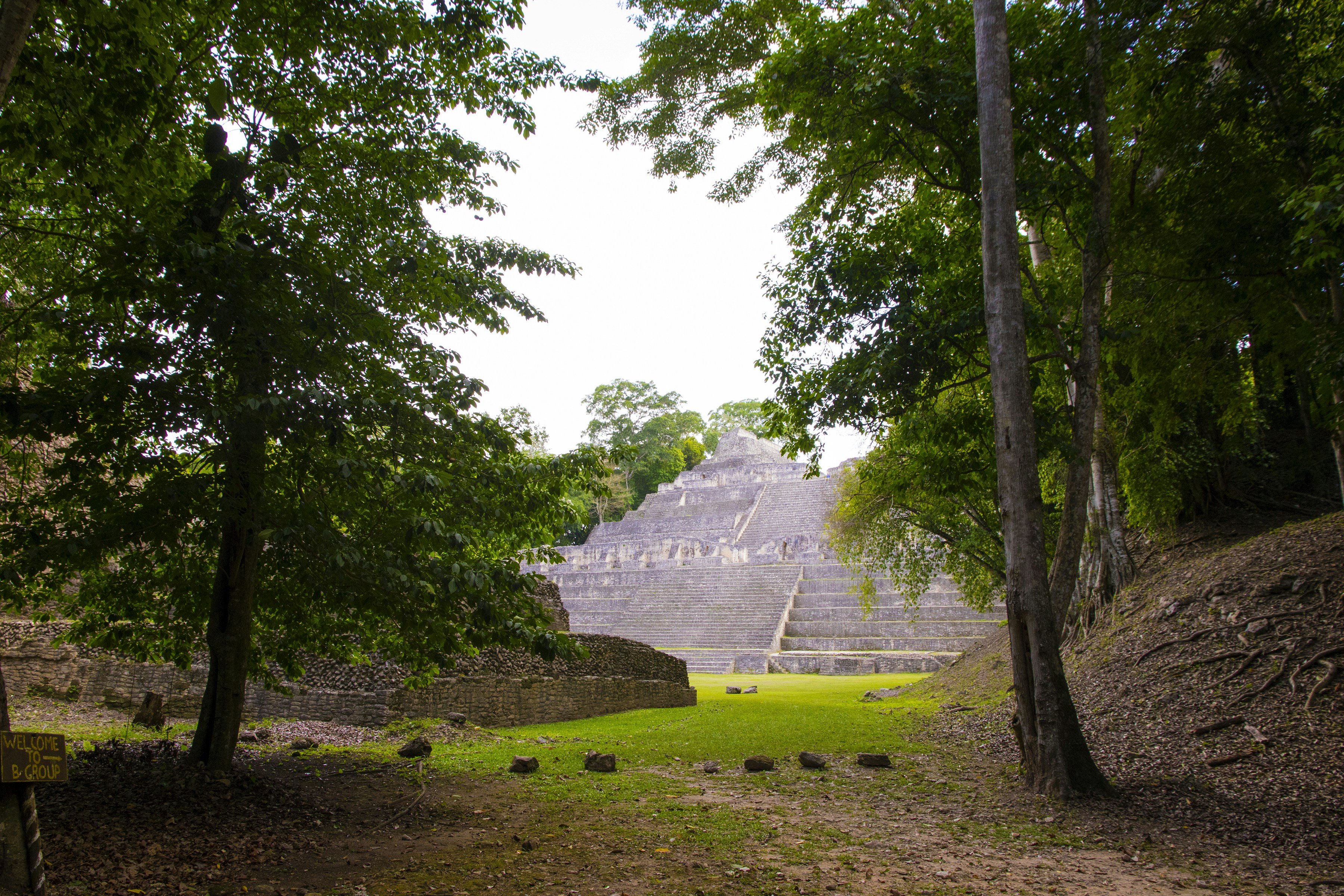 Green Corridor to a Hidden Step Pyramid