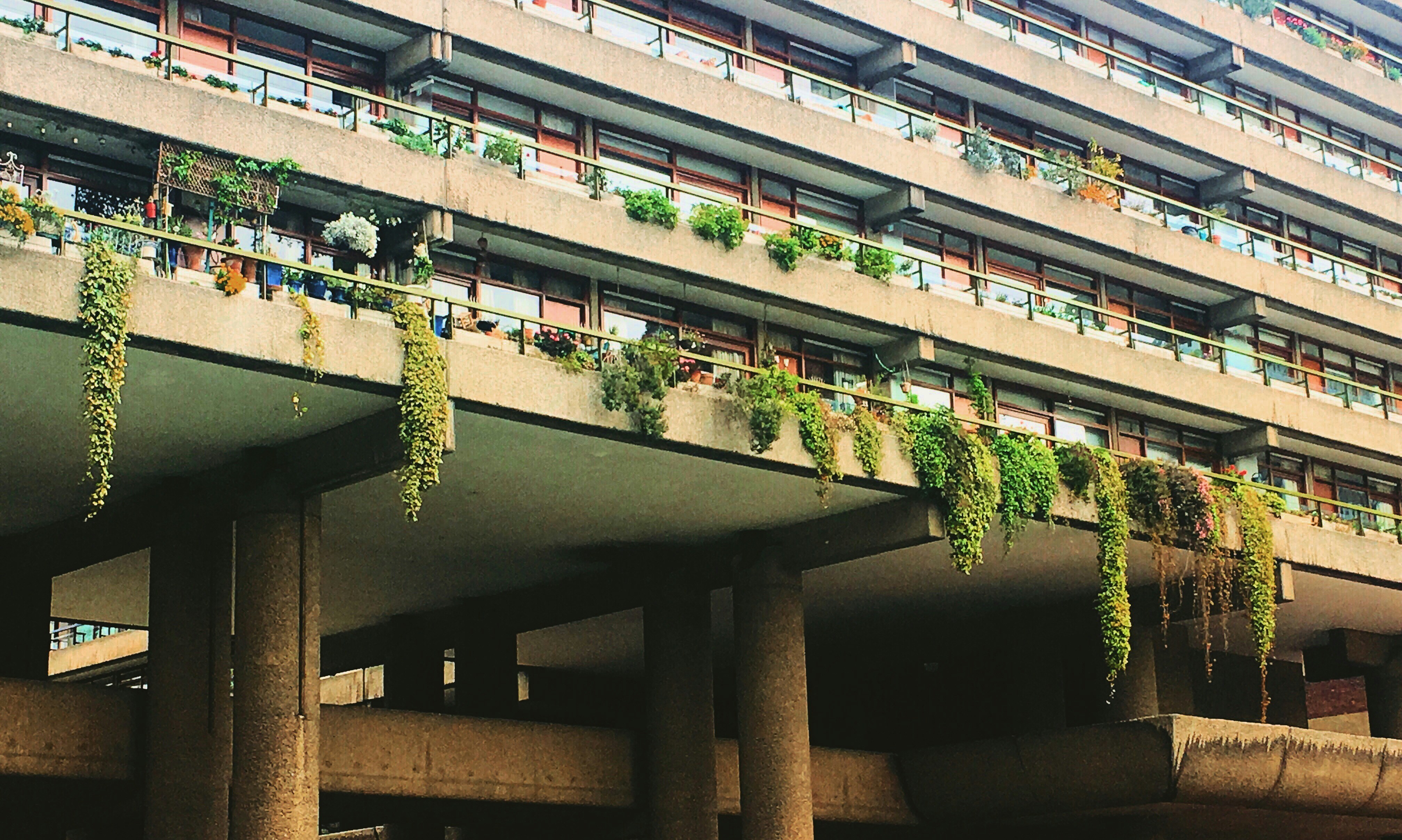 Modern apartment building with cascading greenery on balconies.