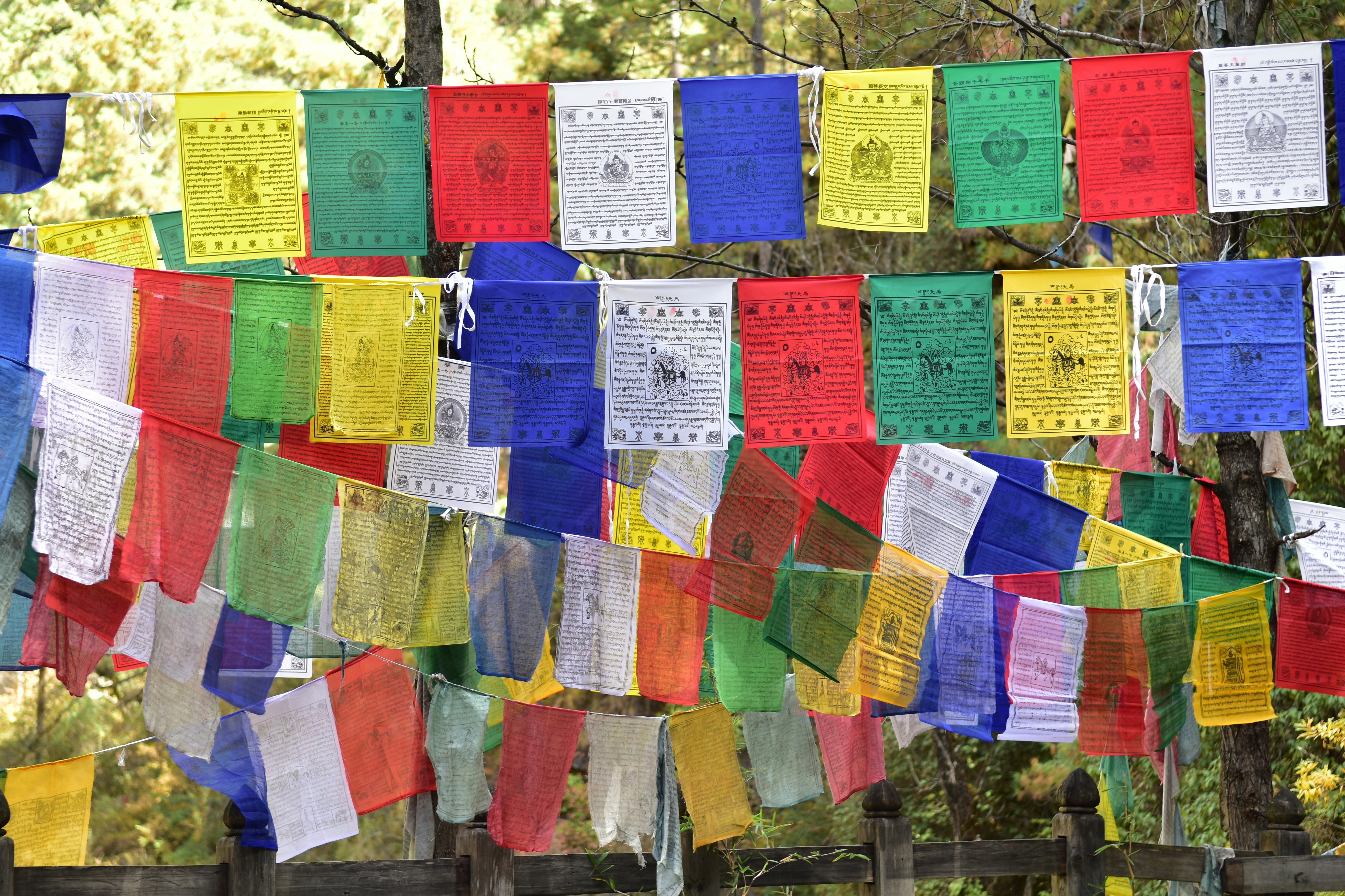 Wind-stitched prayers: a sunlit canopy of colorful flags