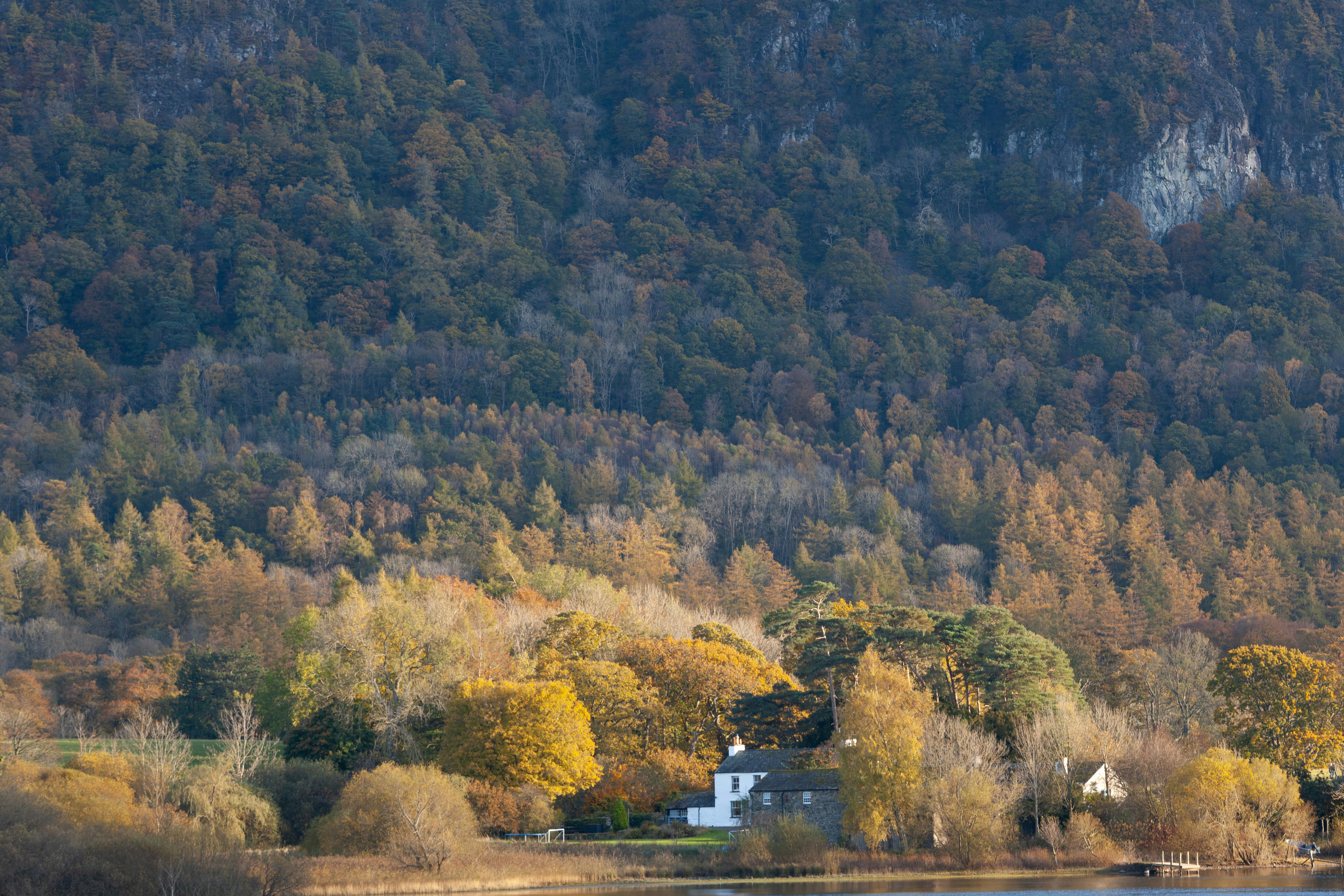 green and brown trees near mountain during daytime
