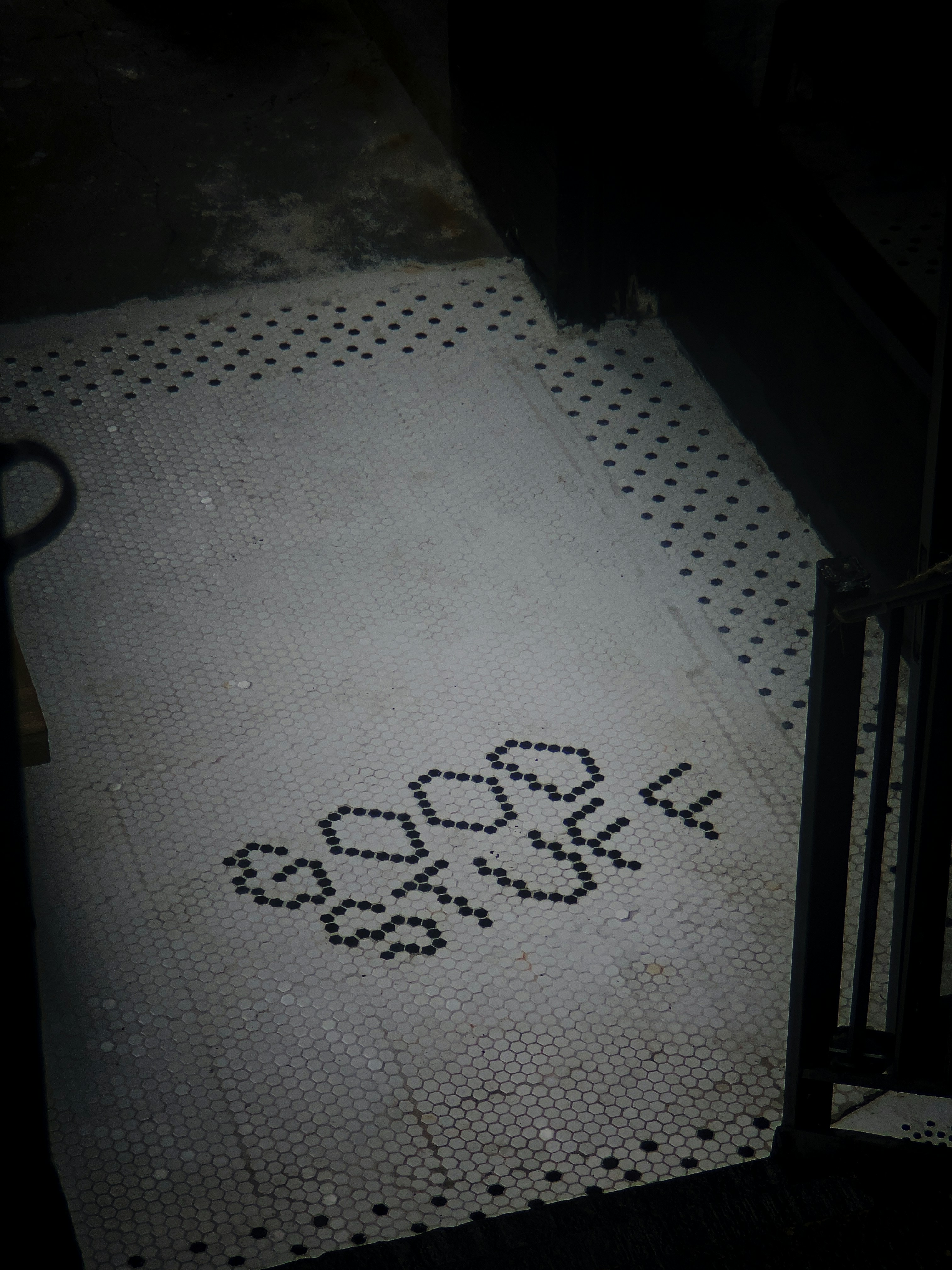 Dots in the Dark: A Dotted Message on a Stairwell Tile