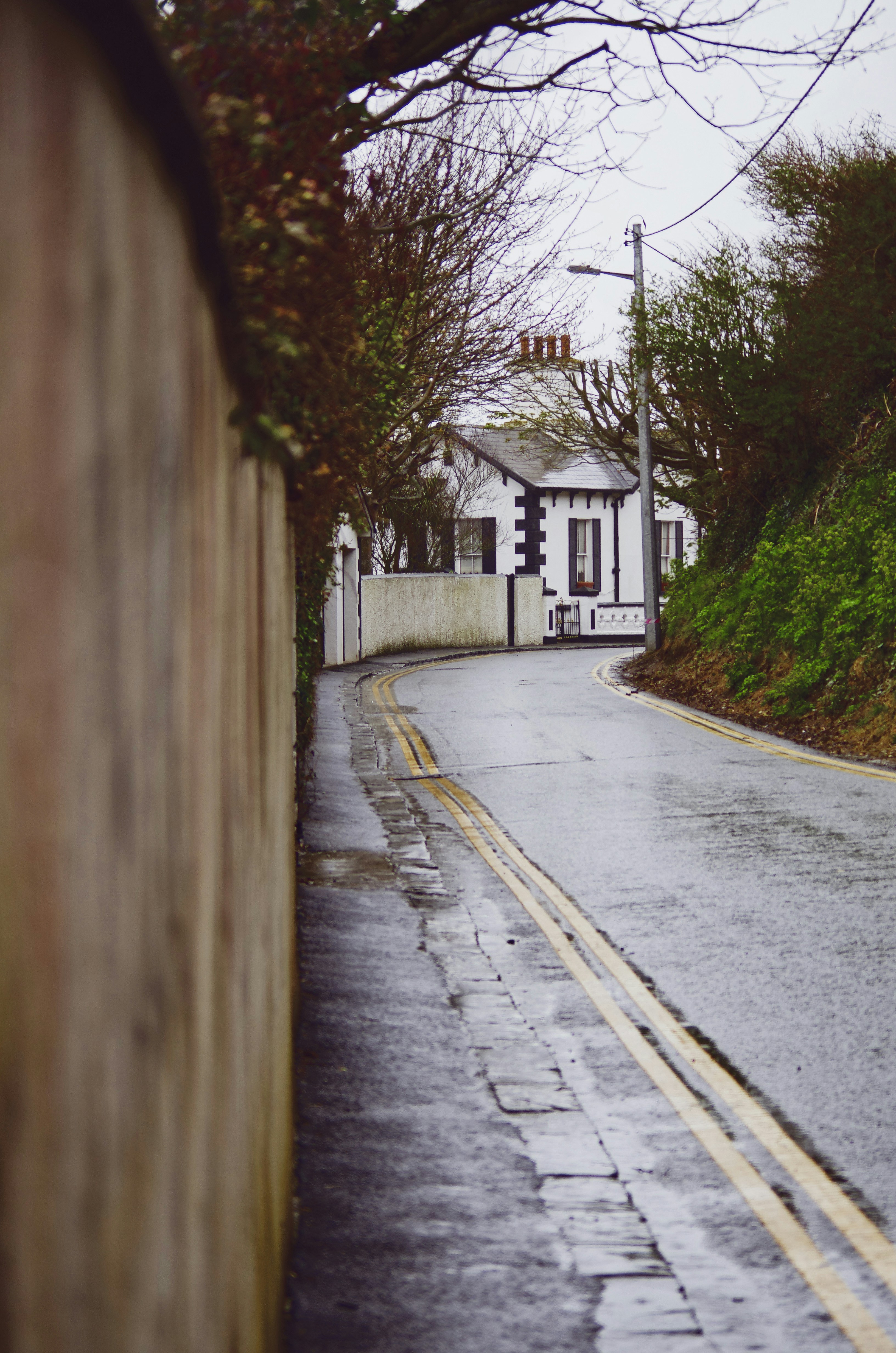Curved road leading to a quaint, traditional house surrounded by lush greenery and wet pavement. The scene evokes a sense of calm and nostalgia.