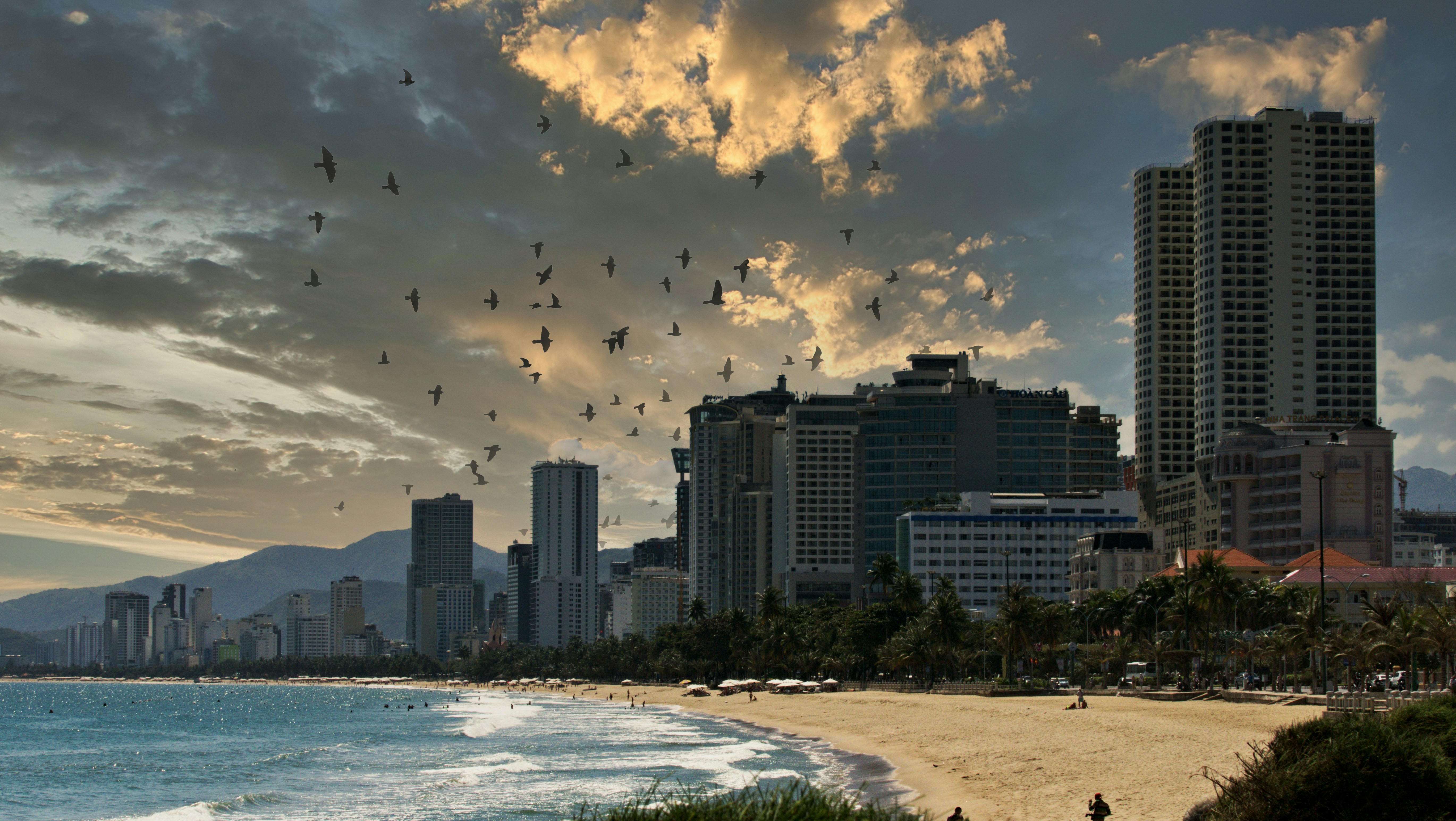 zibik (@zibik) | Unsplash Photo Community