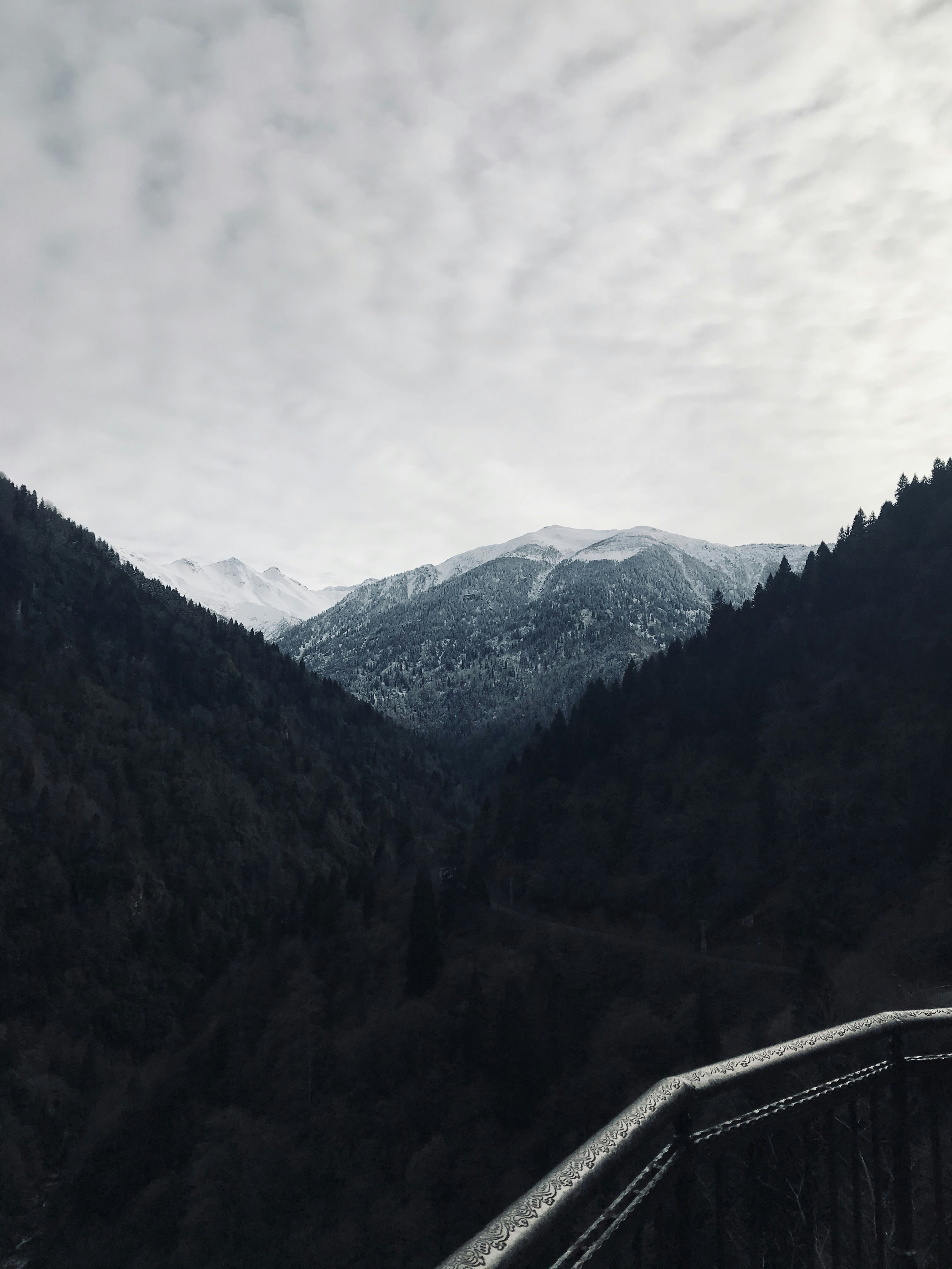Snow-capped mountains rise majestically over a lush valley, framed by dark evergreens and an overcast sky.