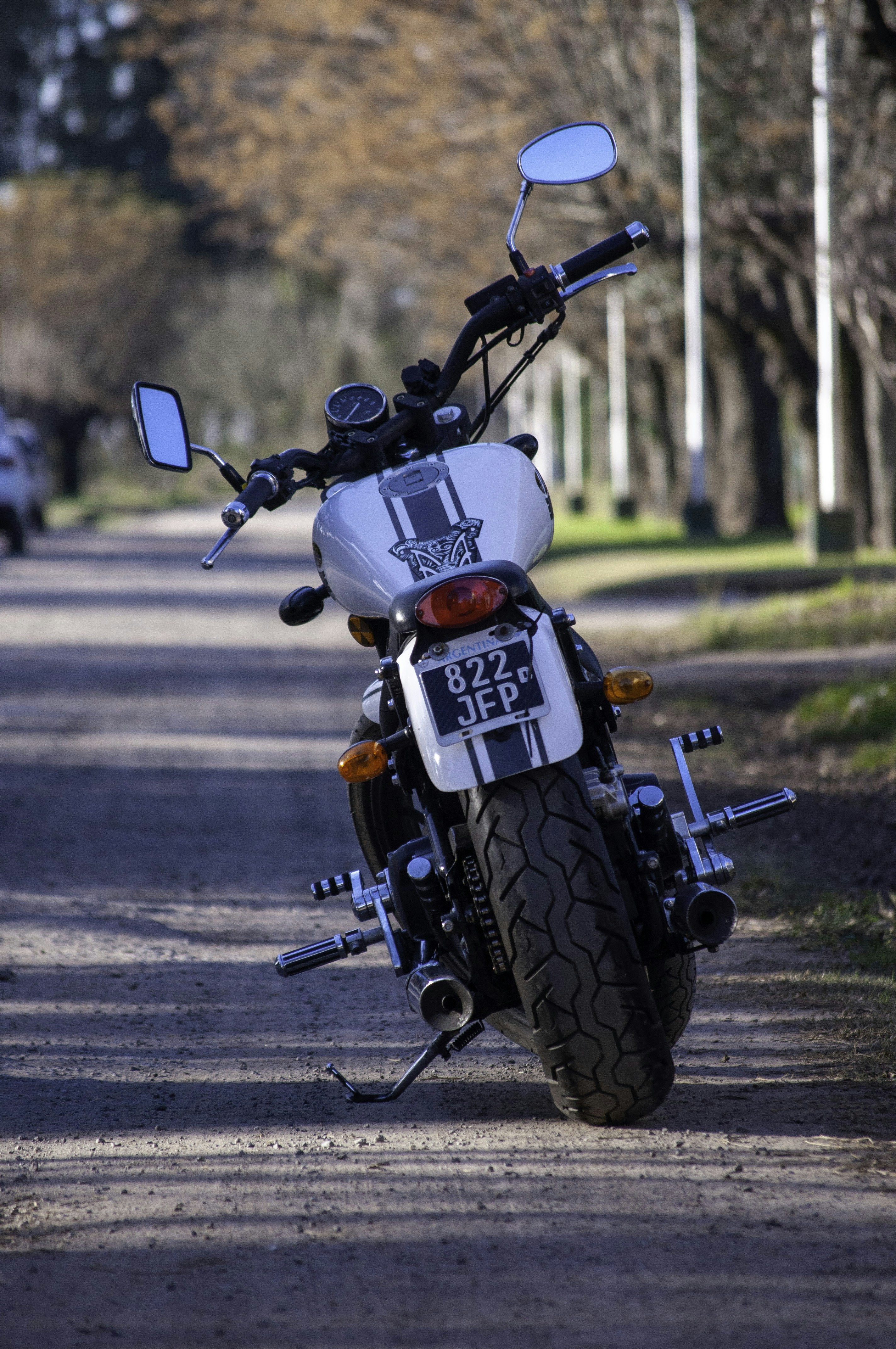 Rear-View Chrome: A Cruiser Rests on a Tree-Lined Avenue