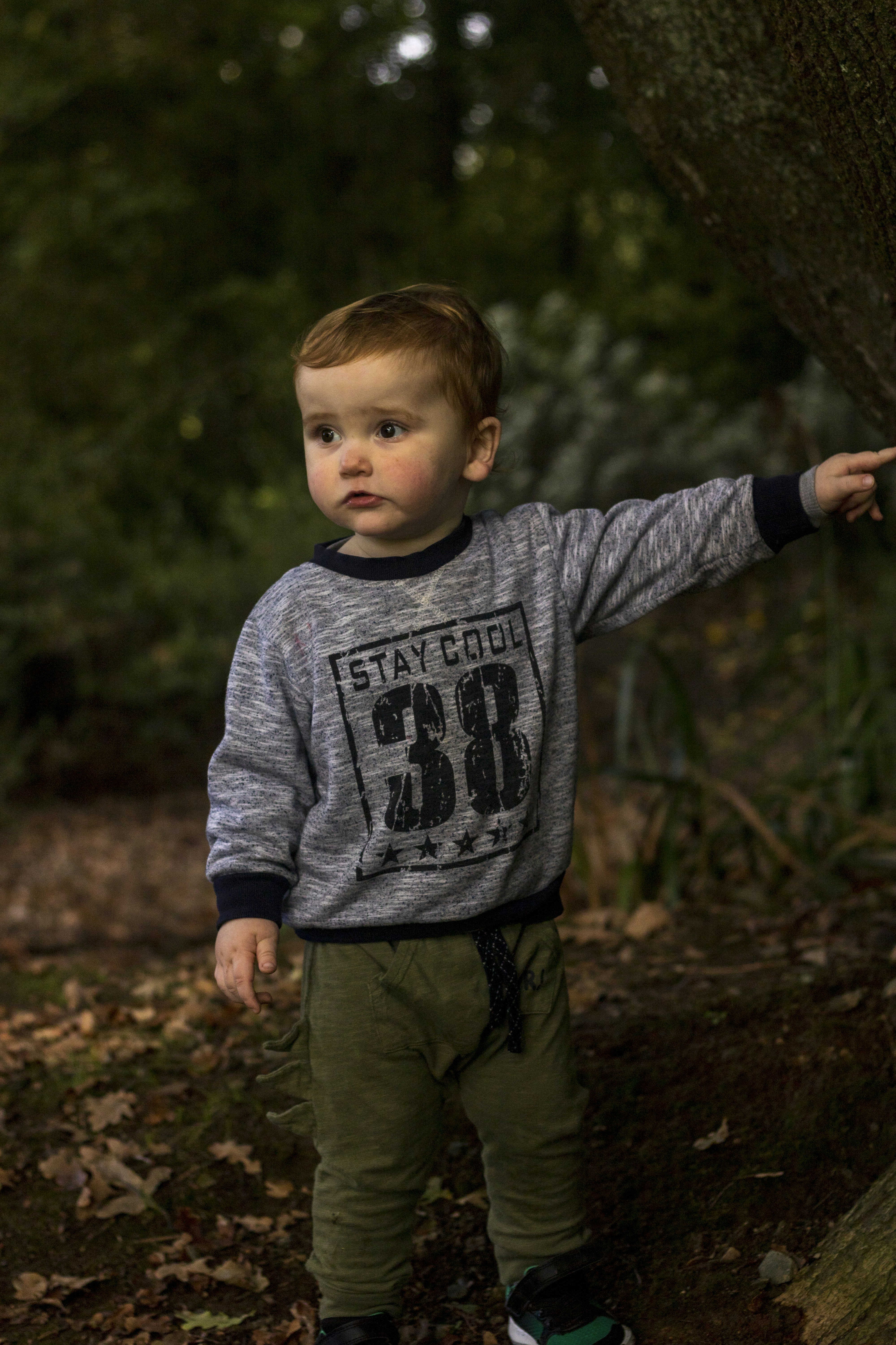 A boy pointing where he would like to walk next