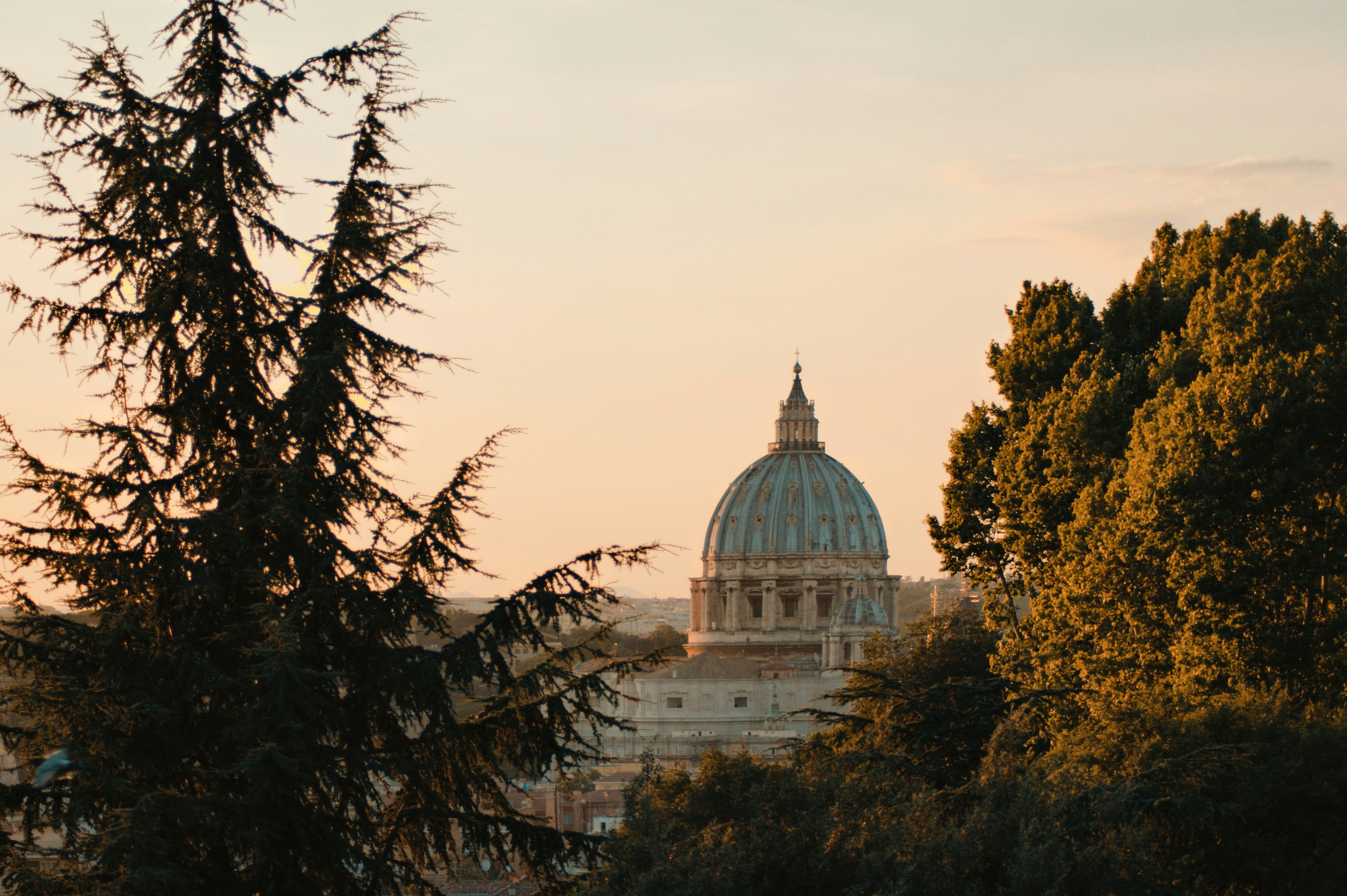 View of a grand dome framed by silhouetted trees at sunset.
