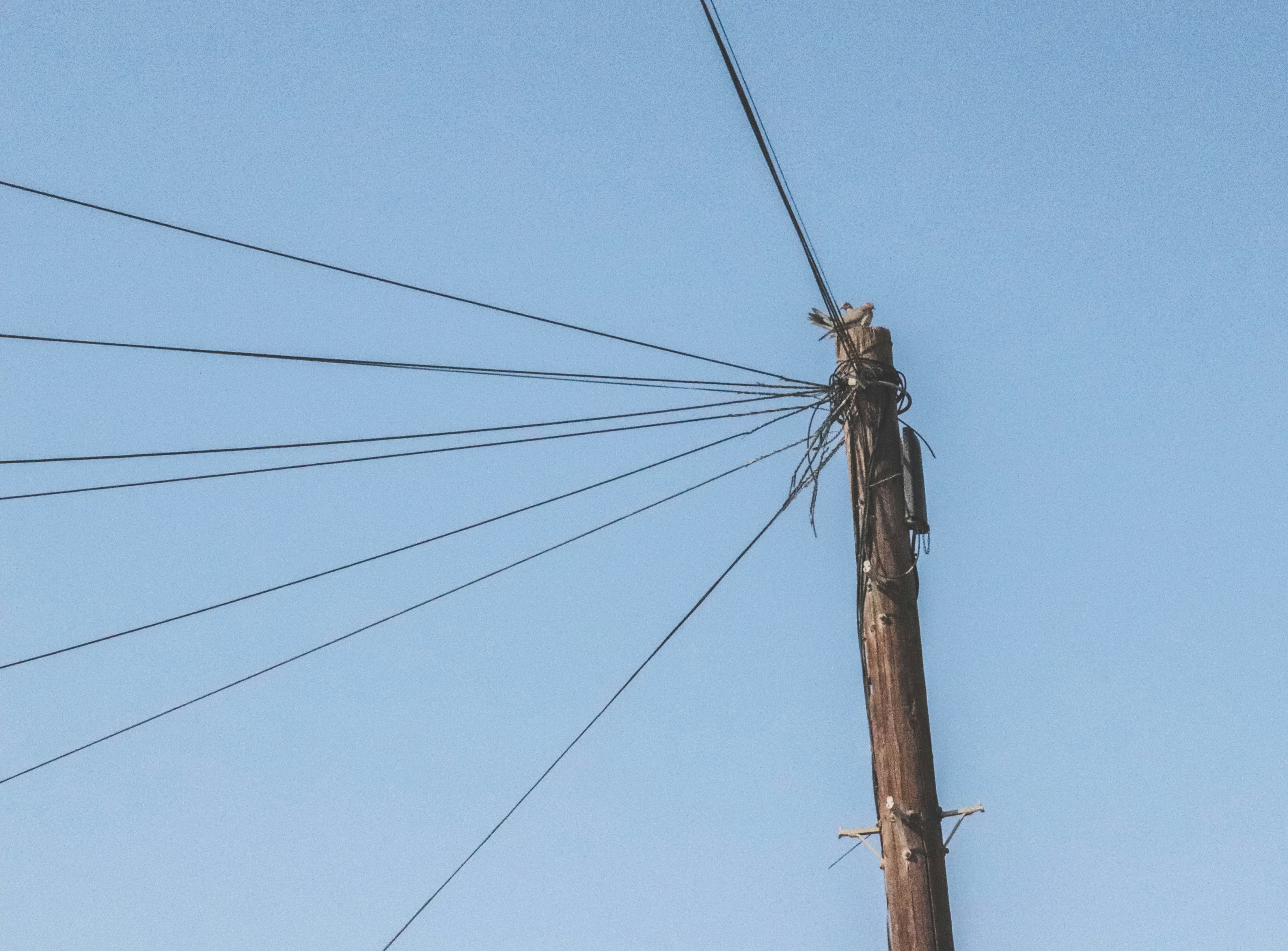 Asim Z Kodappana (@asimcmr) | Unsplash Photo Community