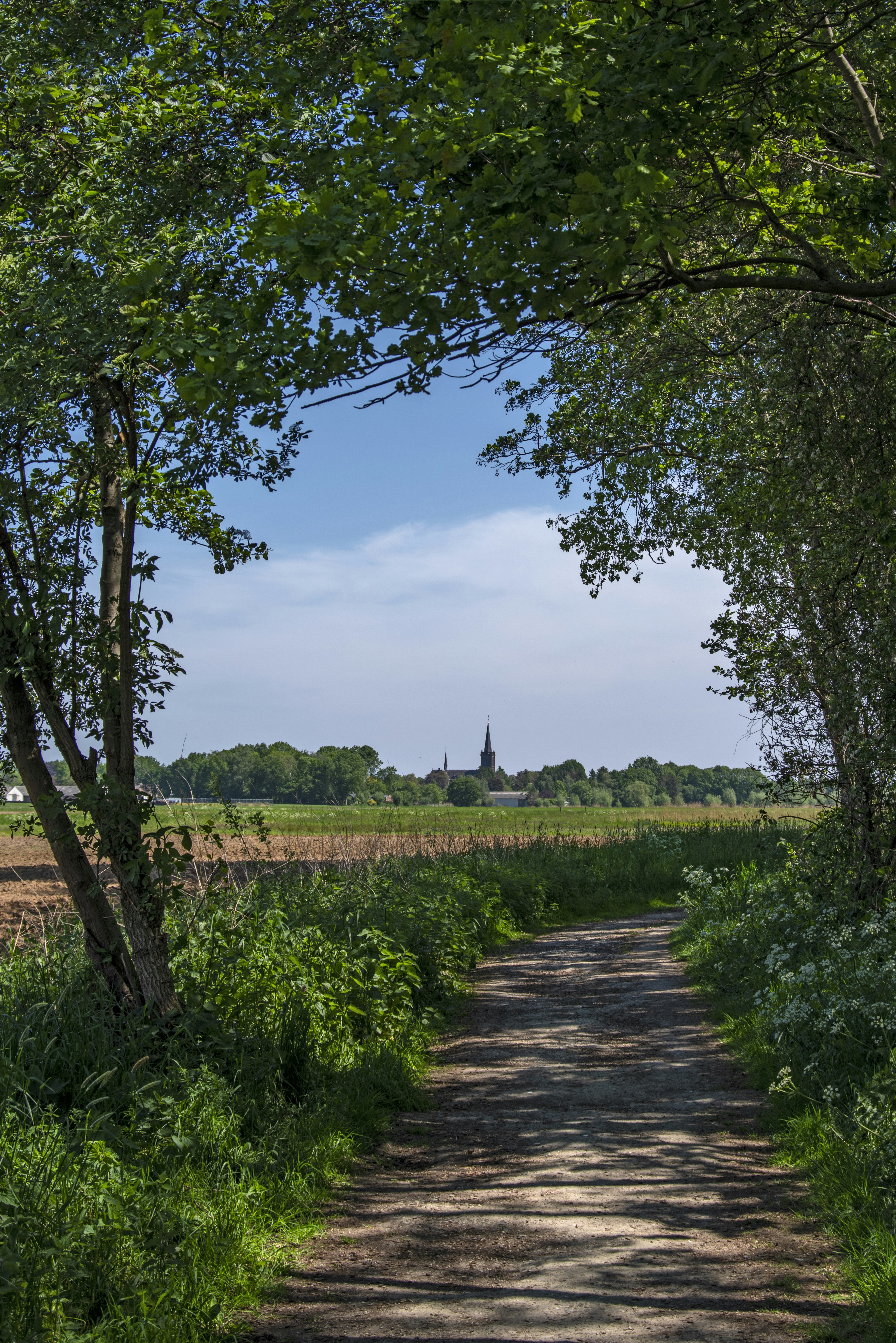 Dutch Landscape Pictures | Download Free Images on Unsplash