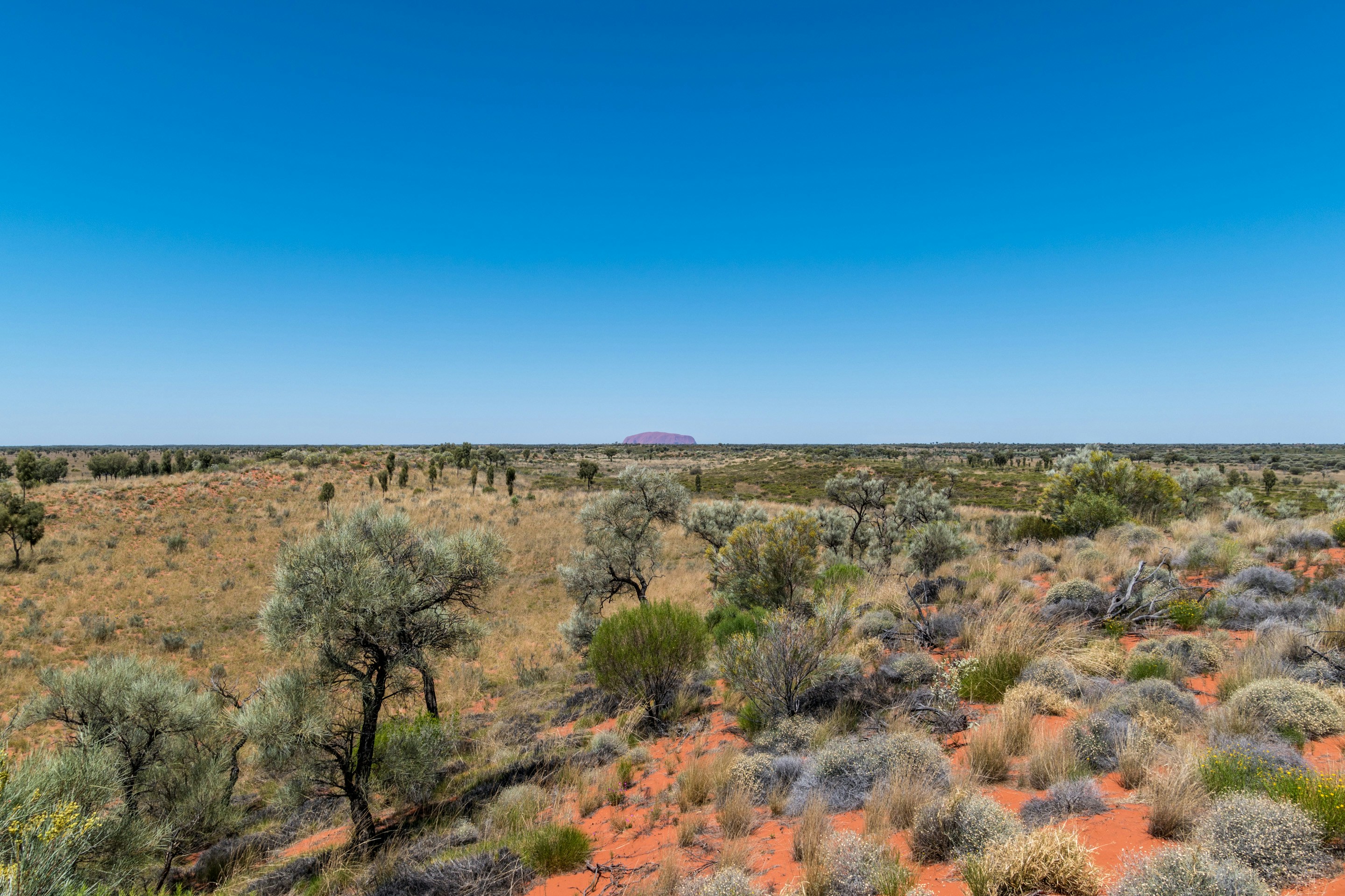 Green grass field under blue sky during daytime photo – Free Uluru ...