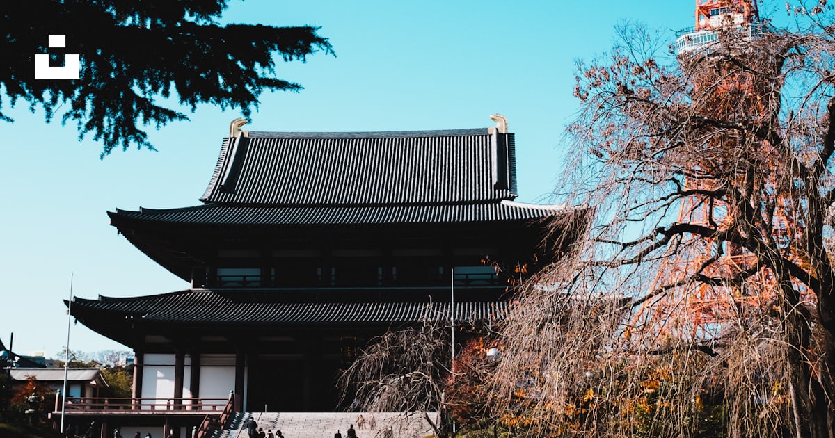 日中の木々の近くの茶色と白のコンクリートの建物の写真 Unsplashの無料建築写真