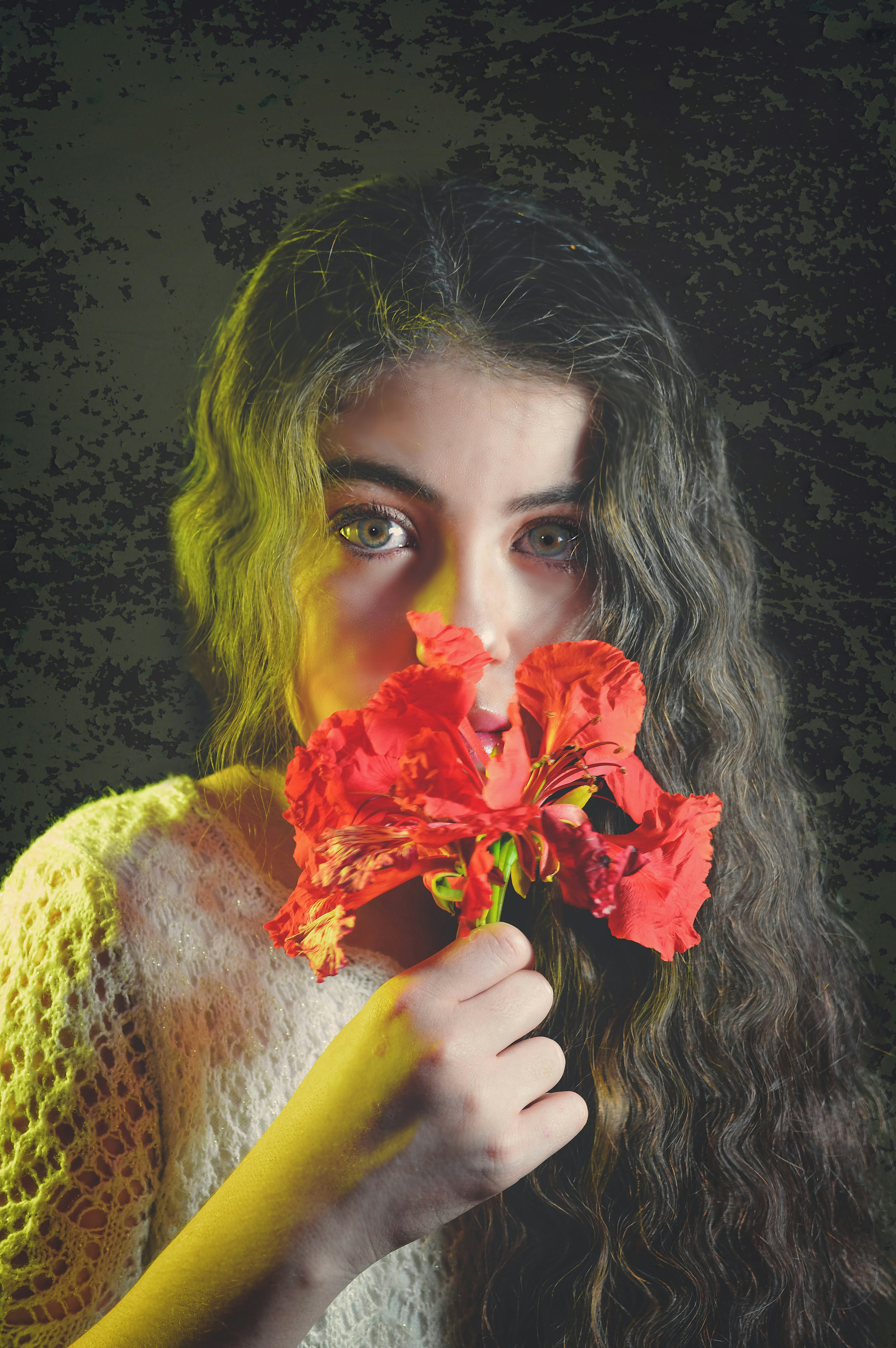 José Luis Valland (@vallanced) | Unsplash Photo Community