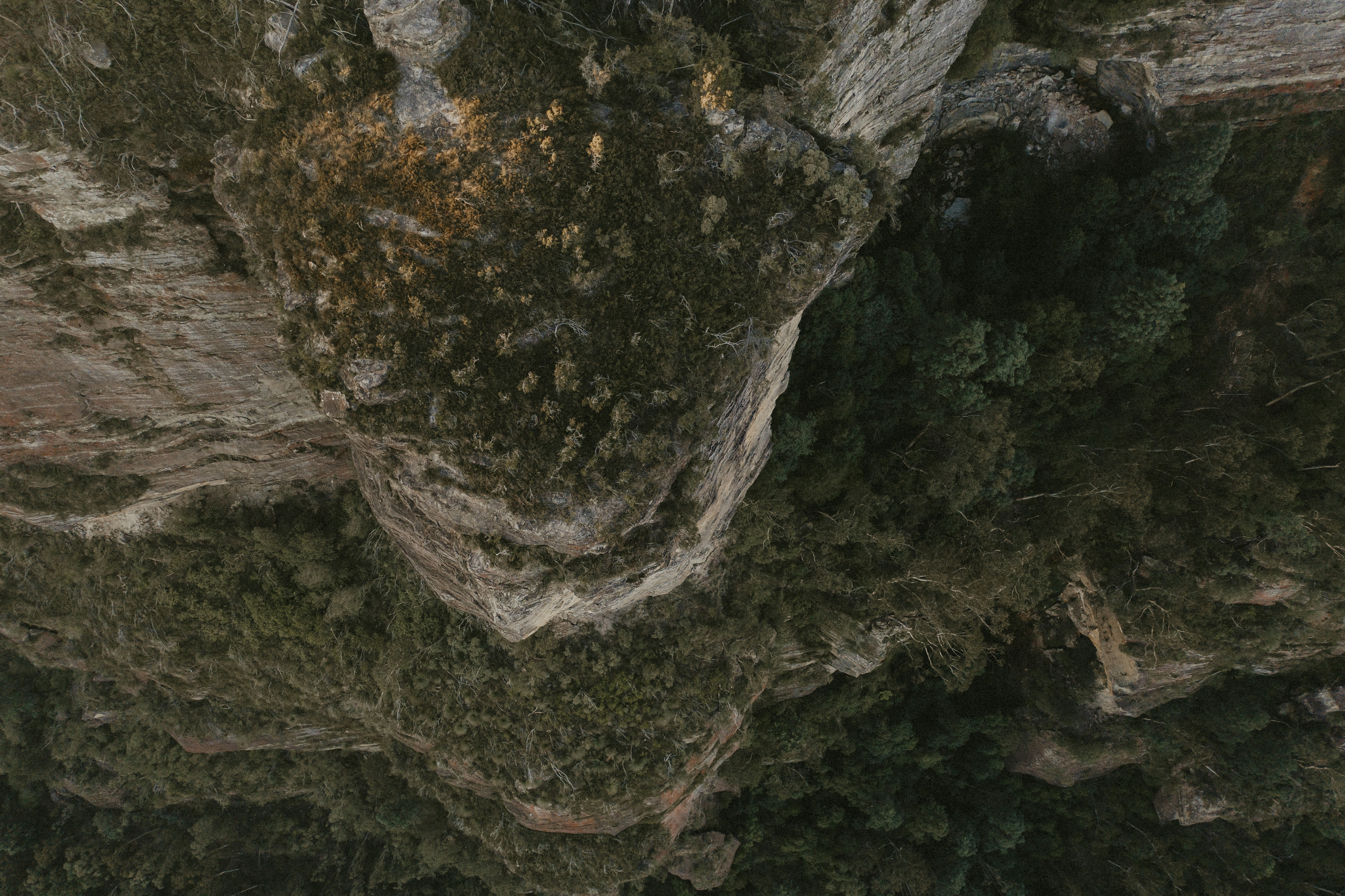 A rugged cliff face adorned with patches of greenery, showcasing the interplay of rock and foliage in a dense forest setting.