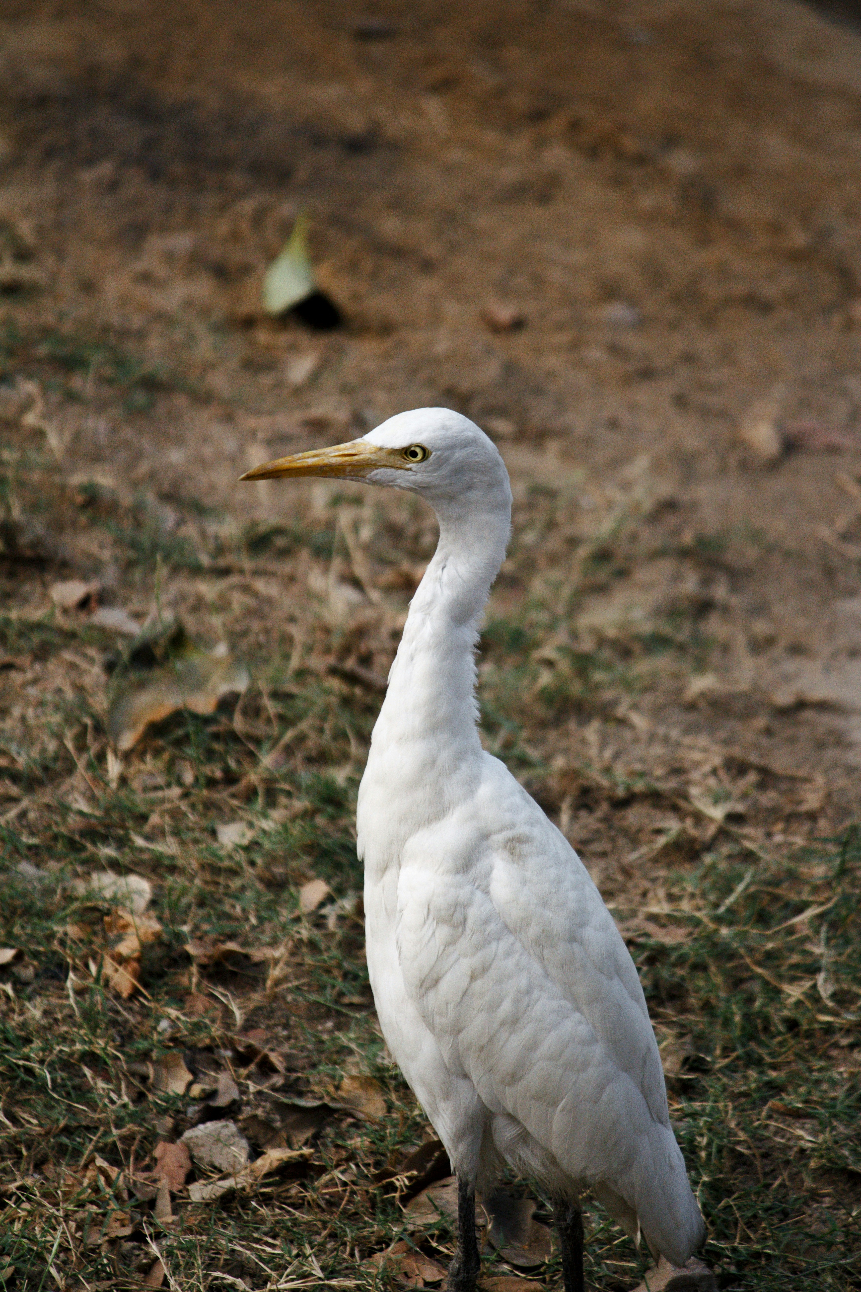 Rachit (@rachit_1108) | Unsplash Photo Community