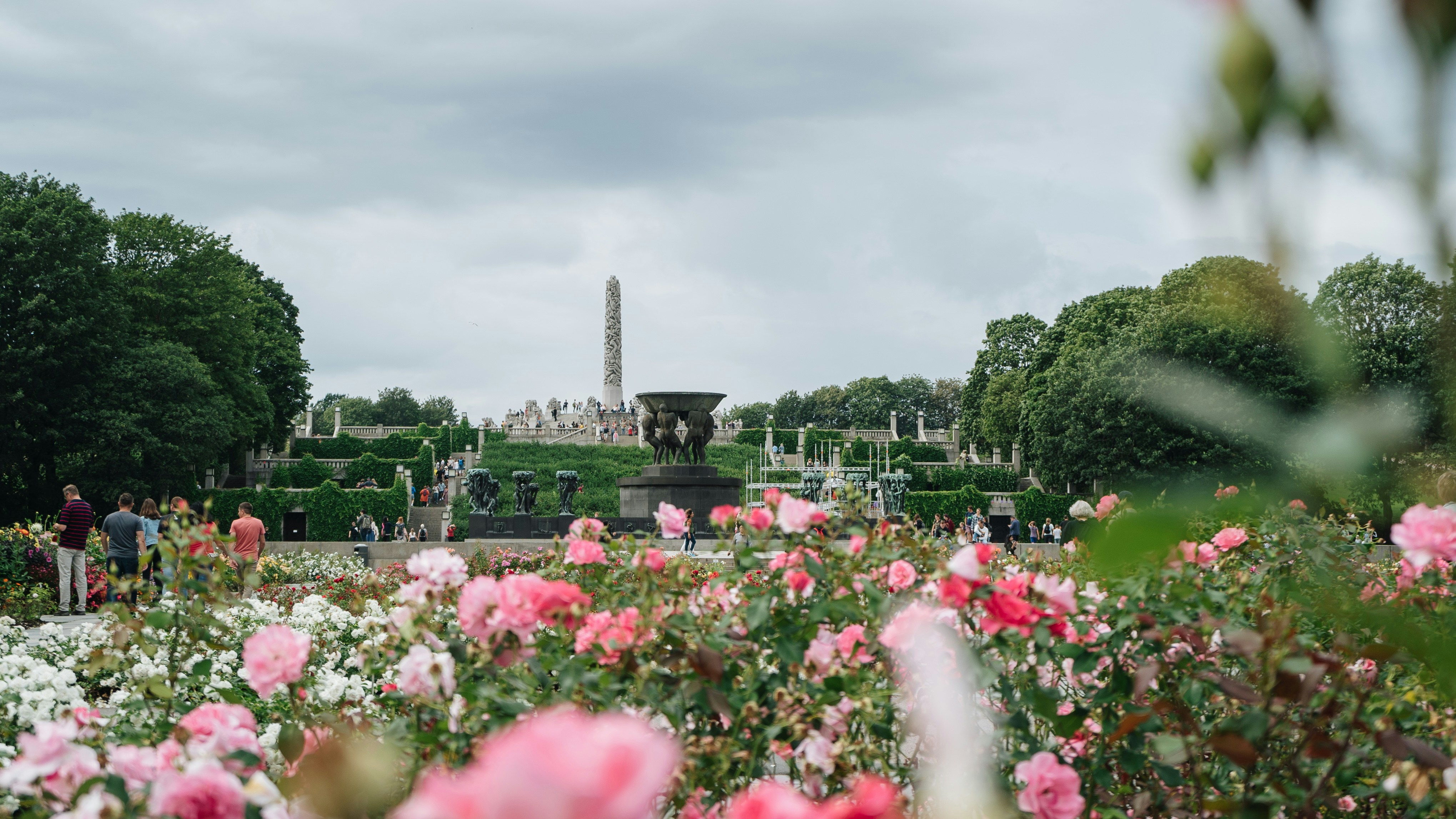 Obelisk Amid Roses: A Quiet Parisian Parterre
