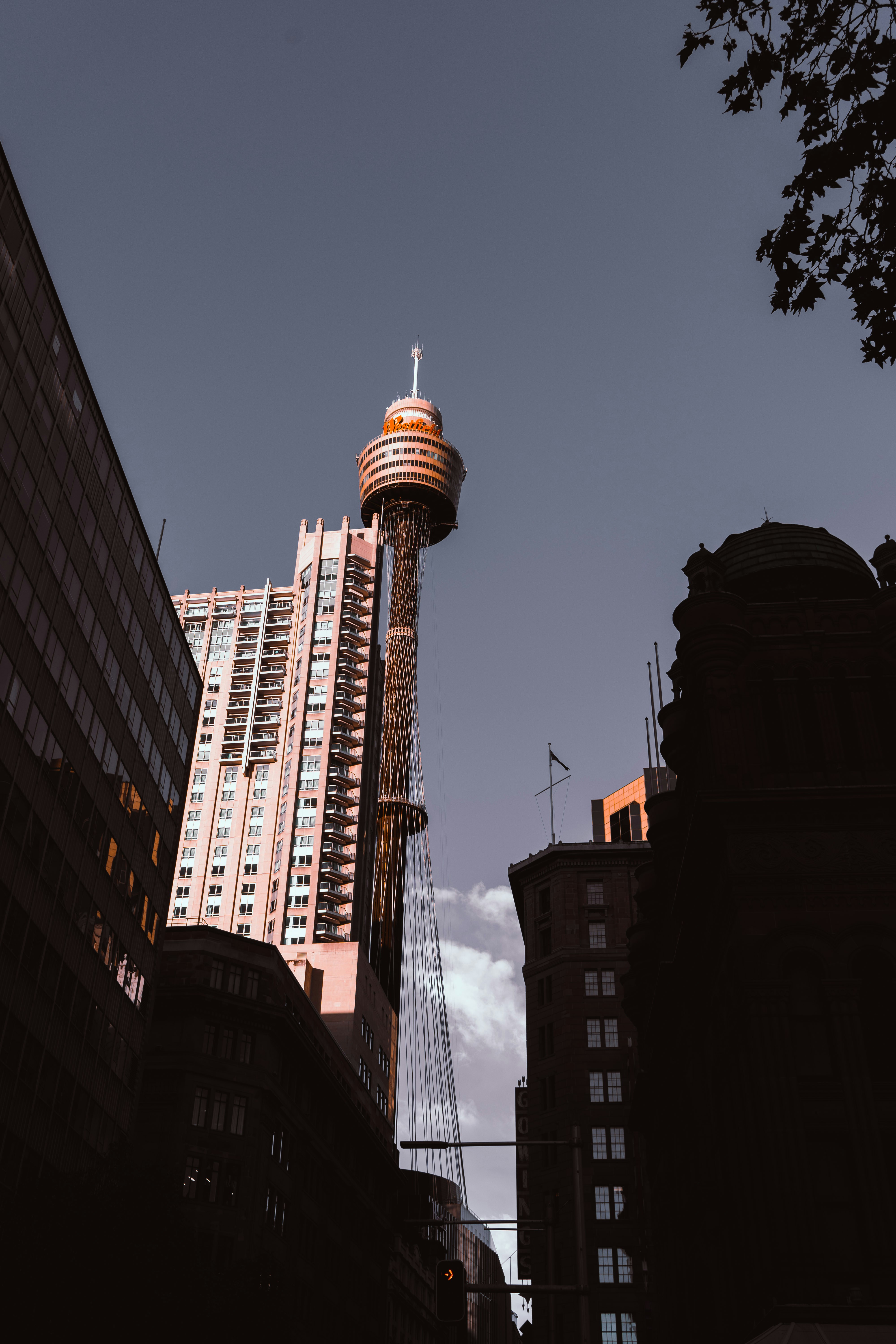 Towering Silence: A City Spire Crowned by the Skyline