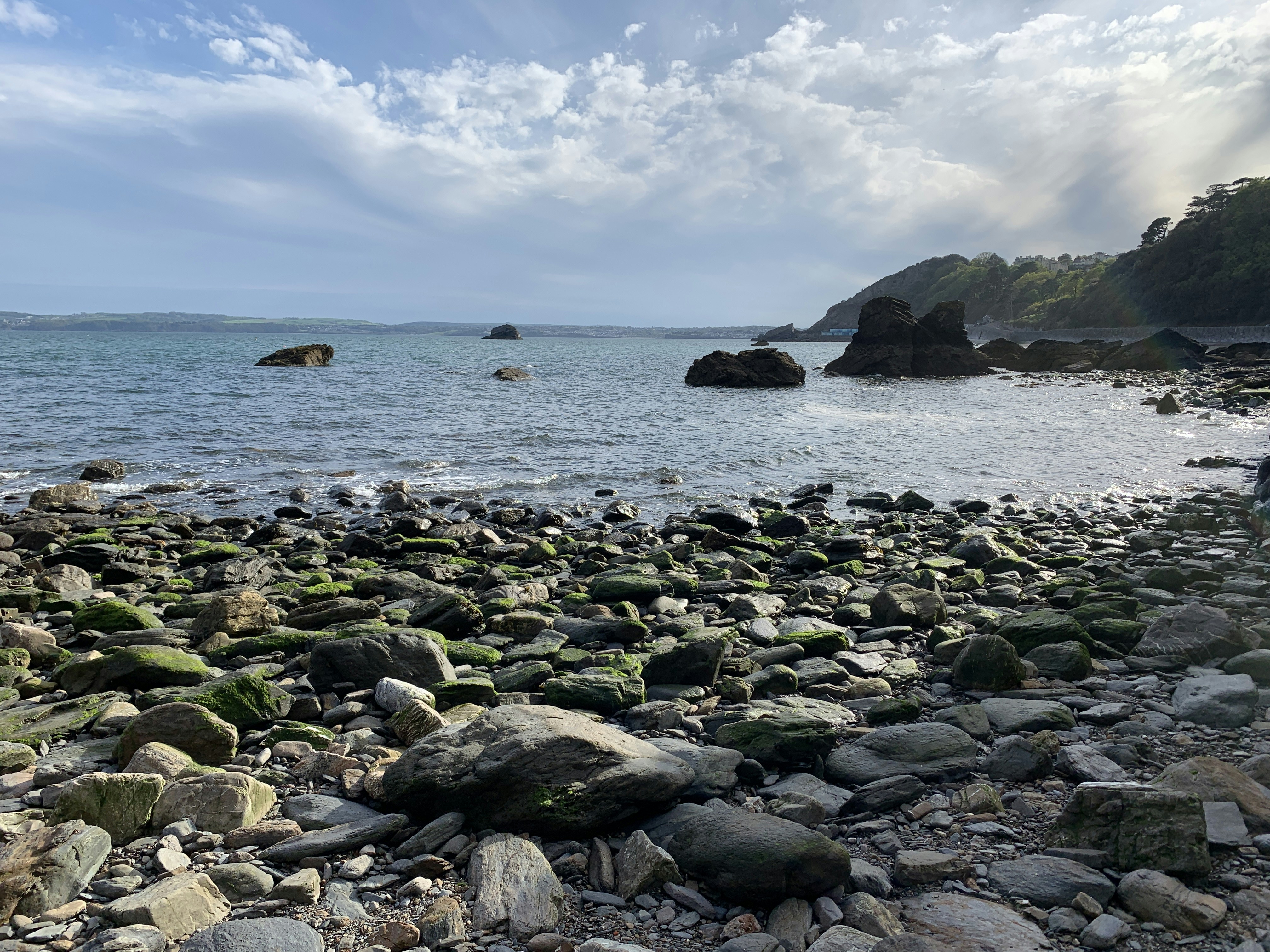 Rocky shoreline with seaweed-covered stones under a partly cloudy sky near a forested cliff.
