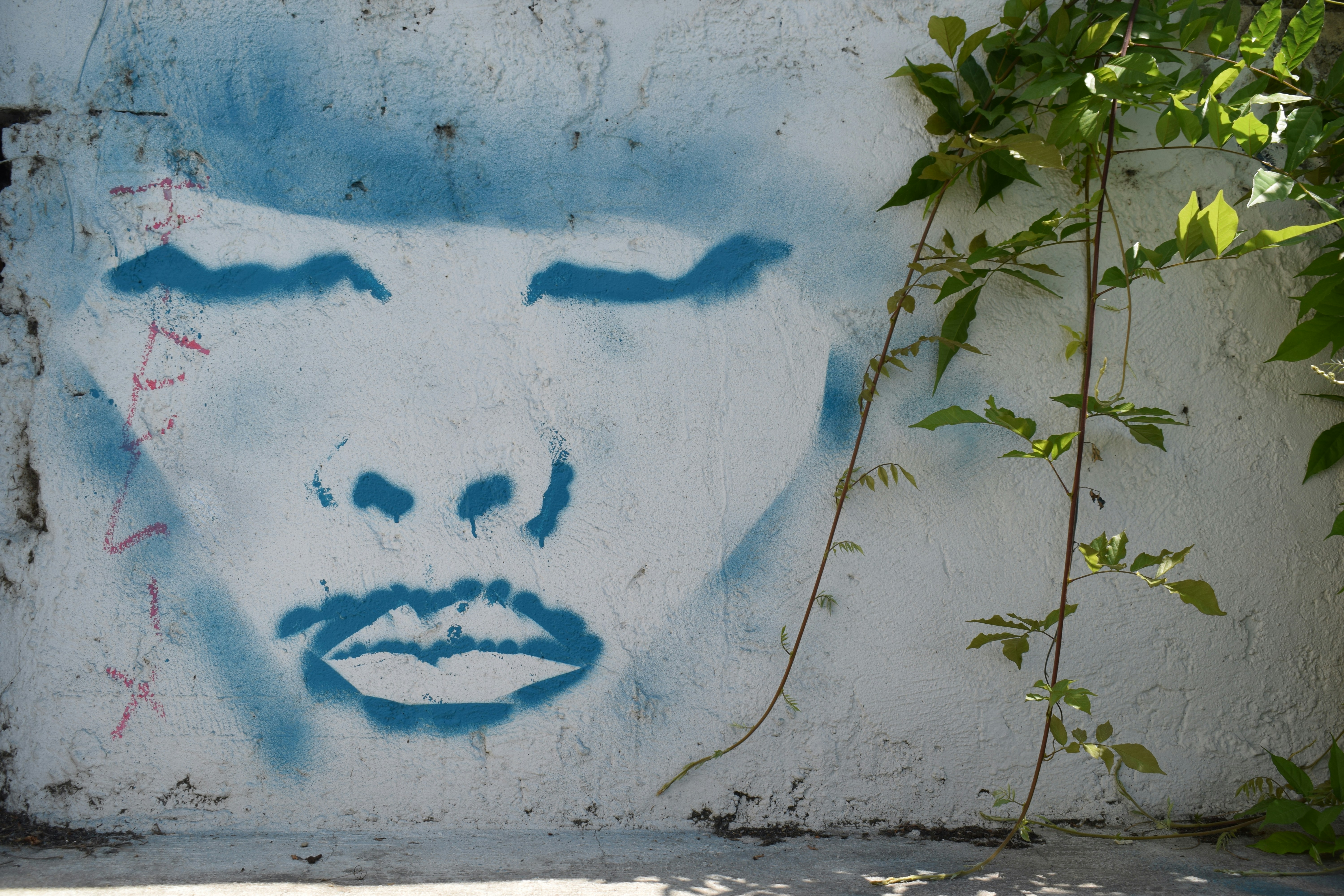Blue Stencil Portrait Framed by Ivy on a Sunlit Wall
