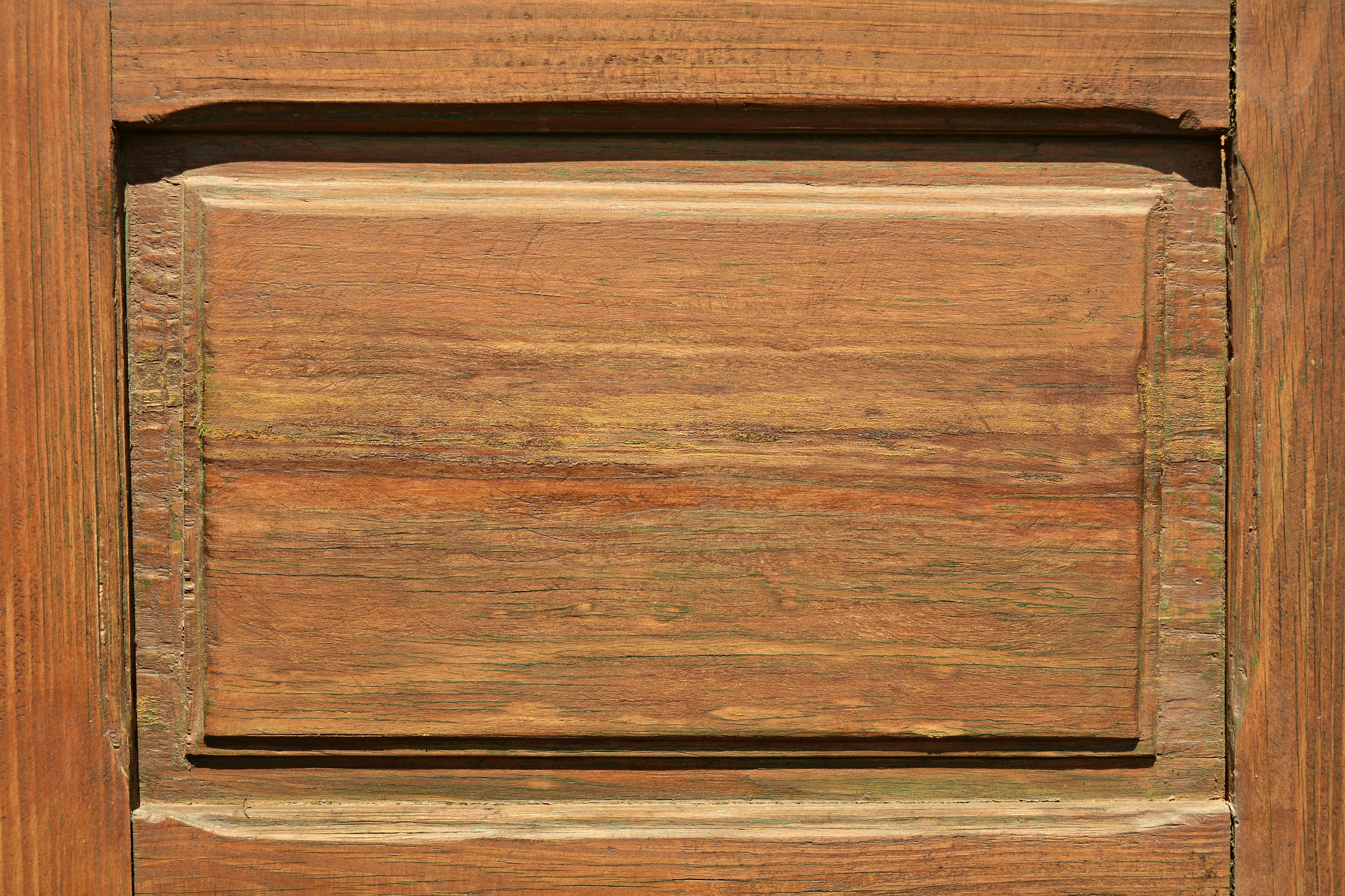 Timeworn Grain: Close-Up of a Rustic Door Panel