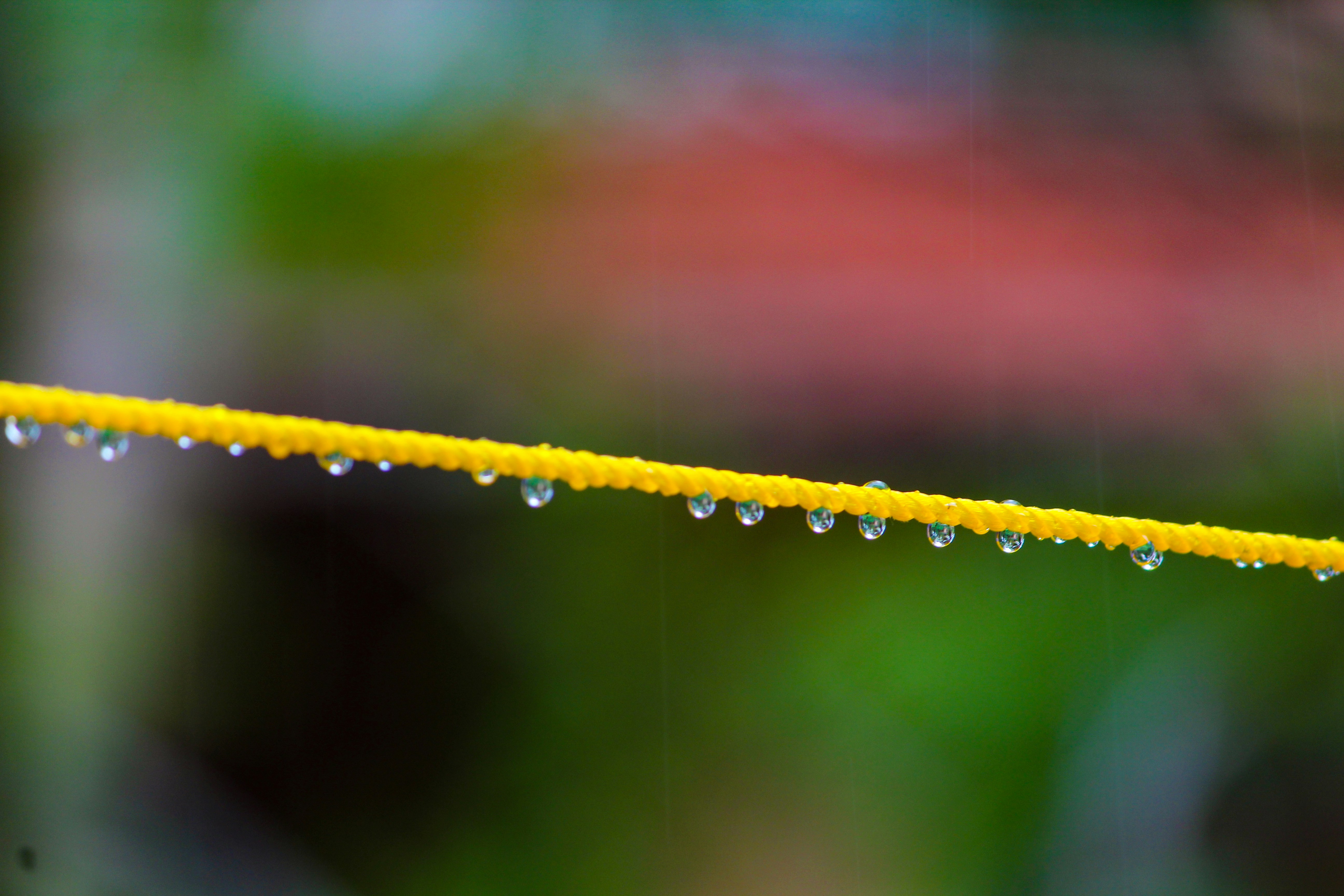 Dew on a Sunny Thread: a Quiet Study of Color and Texture