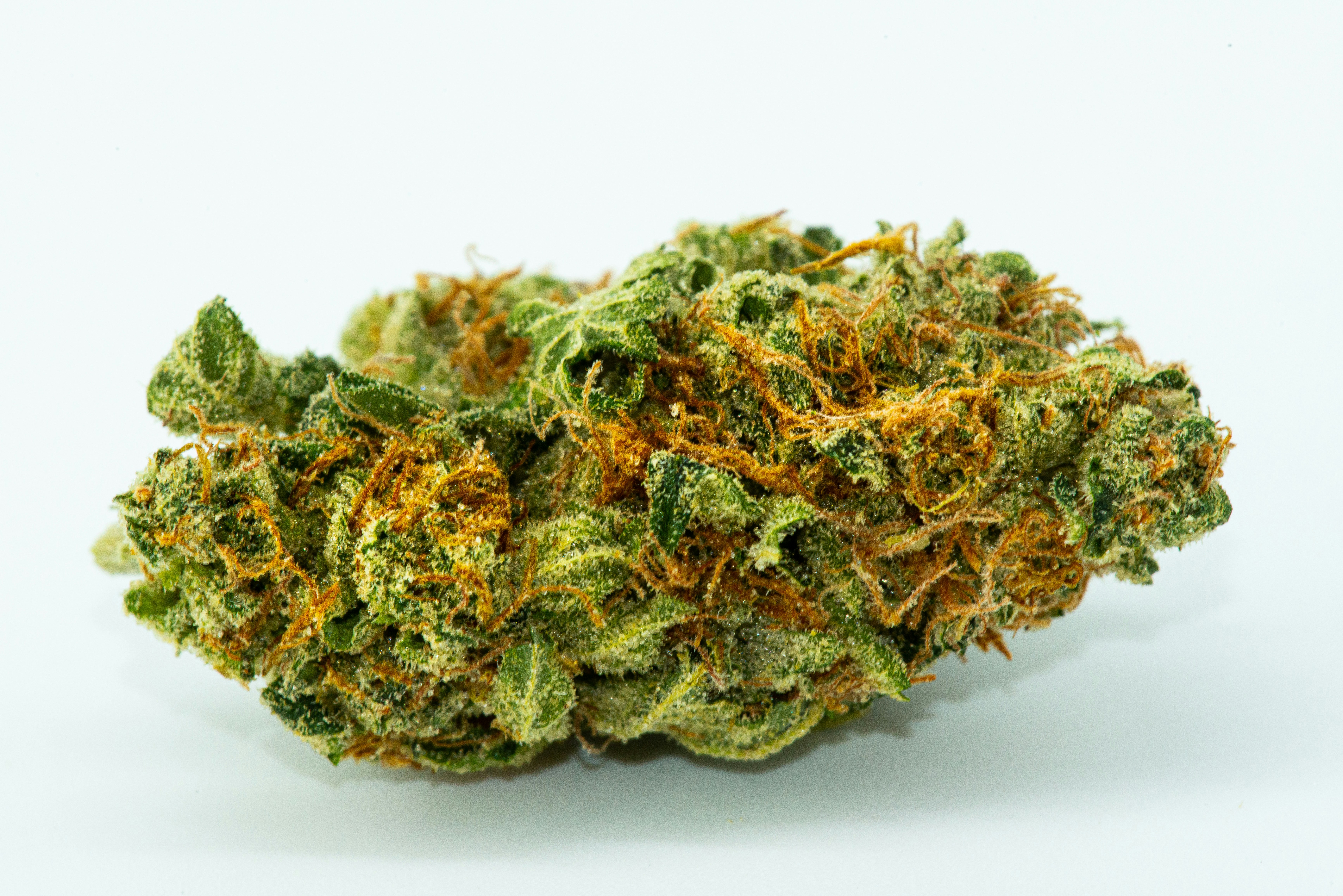 Crystal Crisp: A Close-Up of Trichome-Loaded Cannabis Bud
