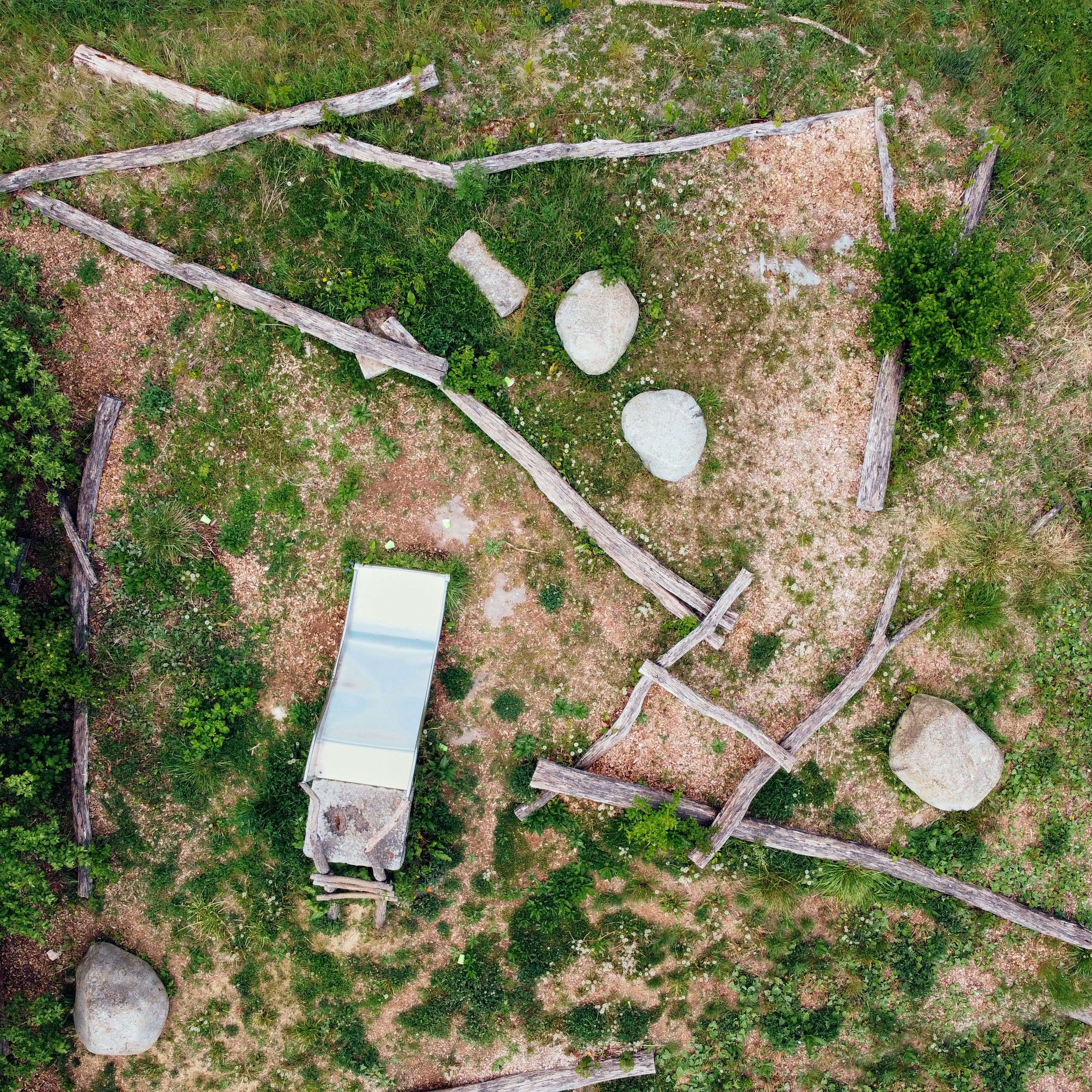 Ring of Driftwood: A Quiet Shelter Nestled in a Green Clearing