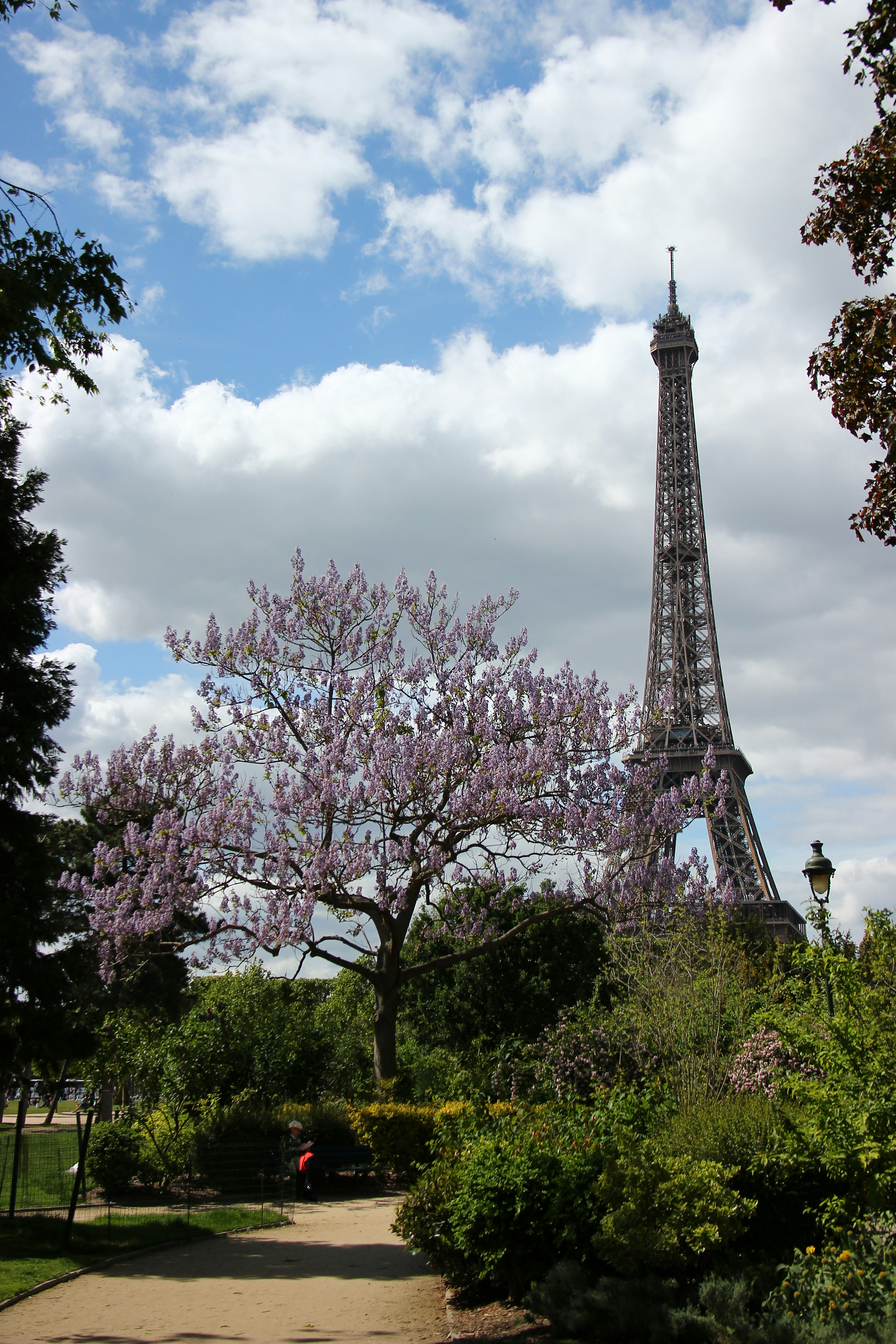 Vibrant lilac flowers bloom in a lush garden with the Eiffel Tower rising majestically in the background. A peaceful scene captures the essence of Paris in spring.